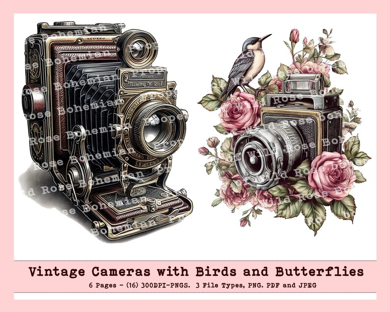 Shabby Chic Camera PNG, Camera Clipart, Vintage Camera and Birds Fussy ...