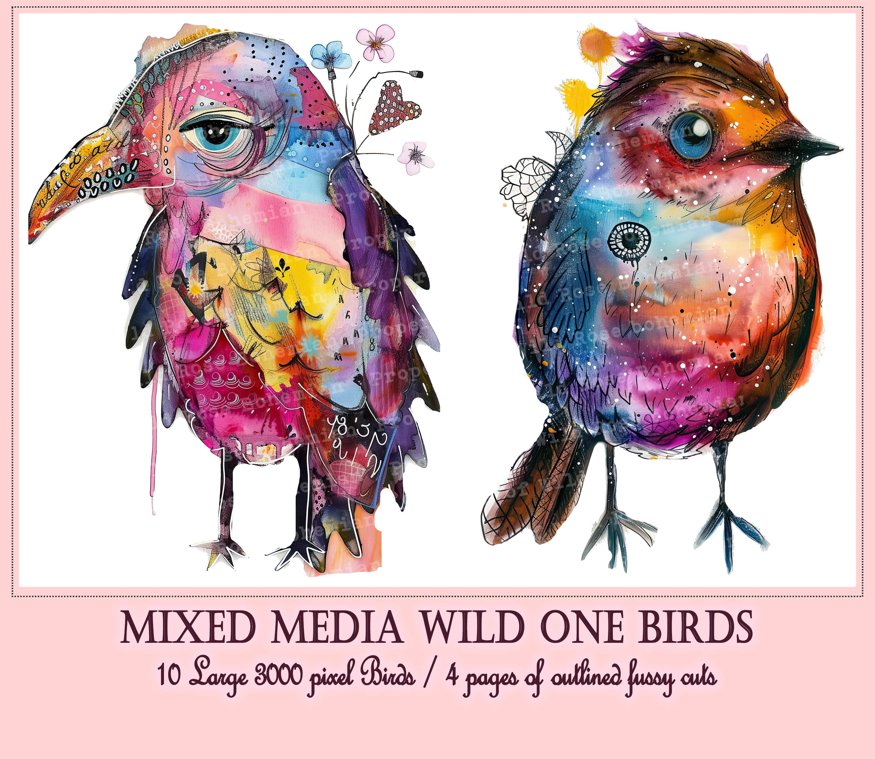 Water Colored Bird Clipart Transparent PNG, Wild One Bird Sublimation ...