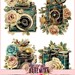 Shabby Chic Camera and Roses Clipart, Shabby Chic Roses and Camera ...