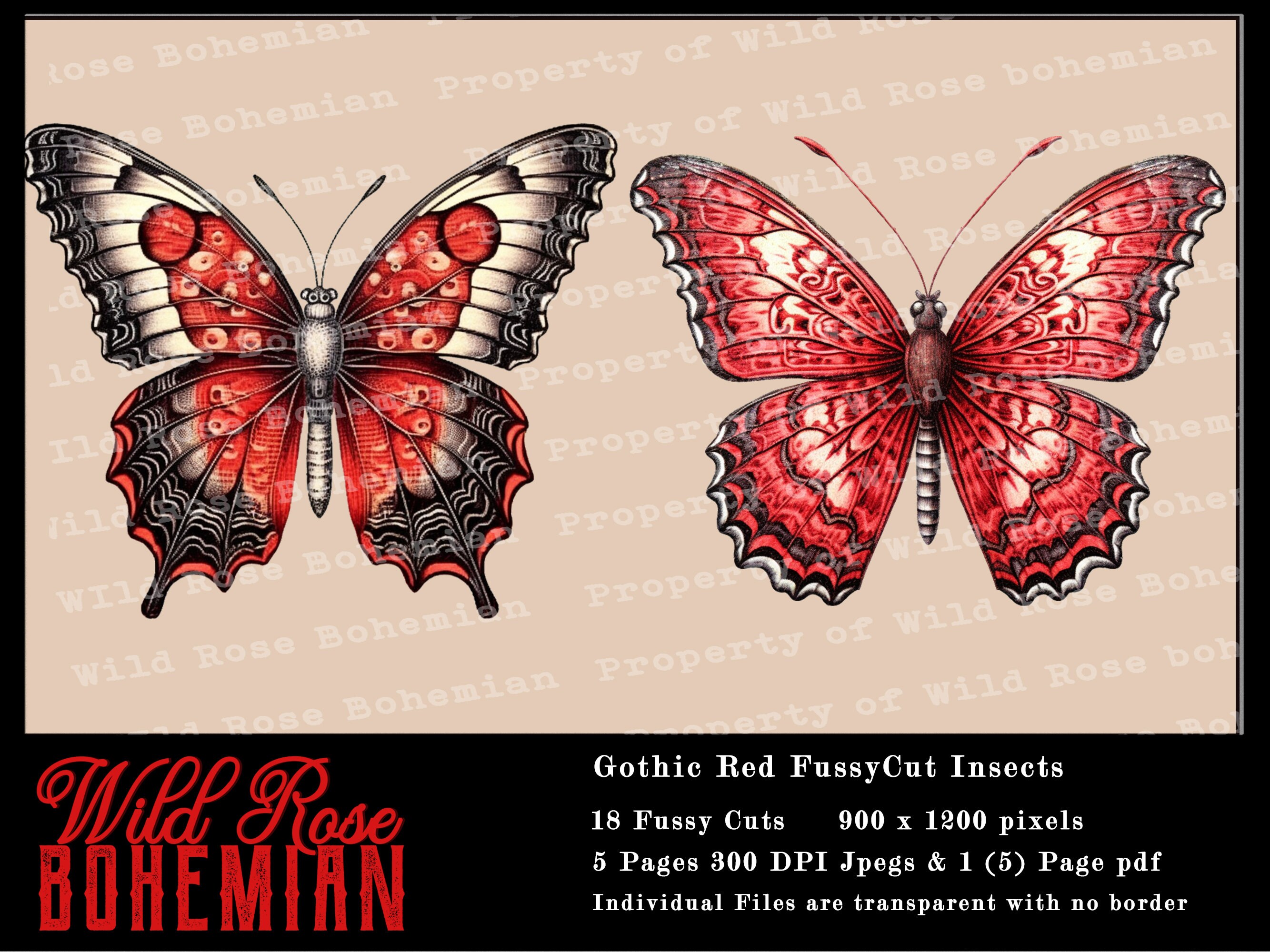 Insect Clipart Black and Red Gothic Spider Graphics, Fussy Cuts PNGS ...