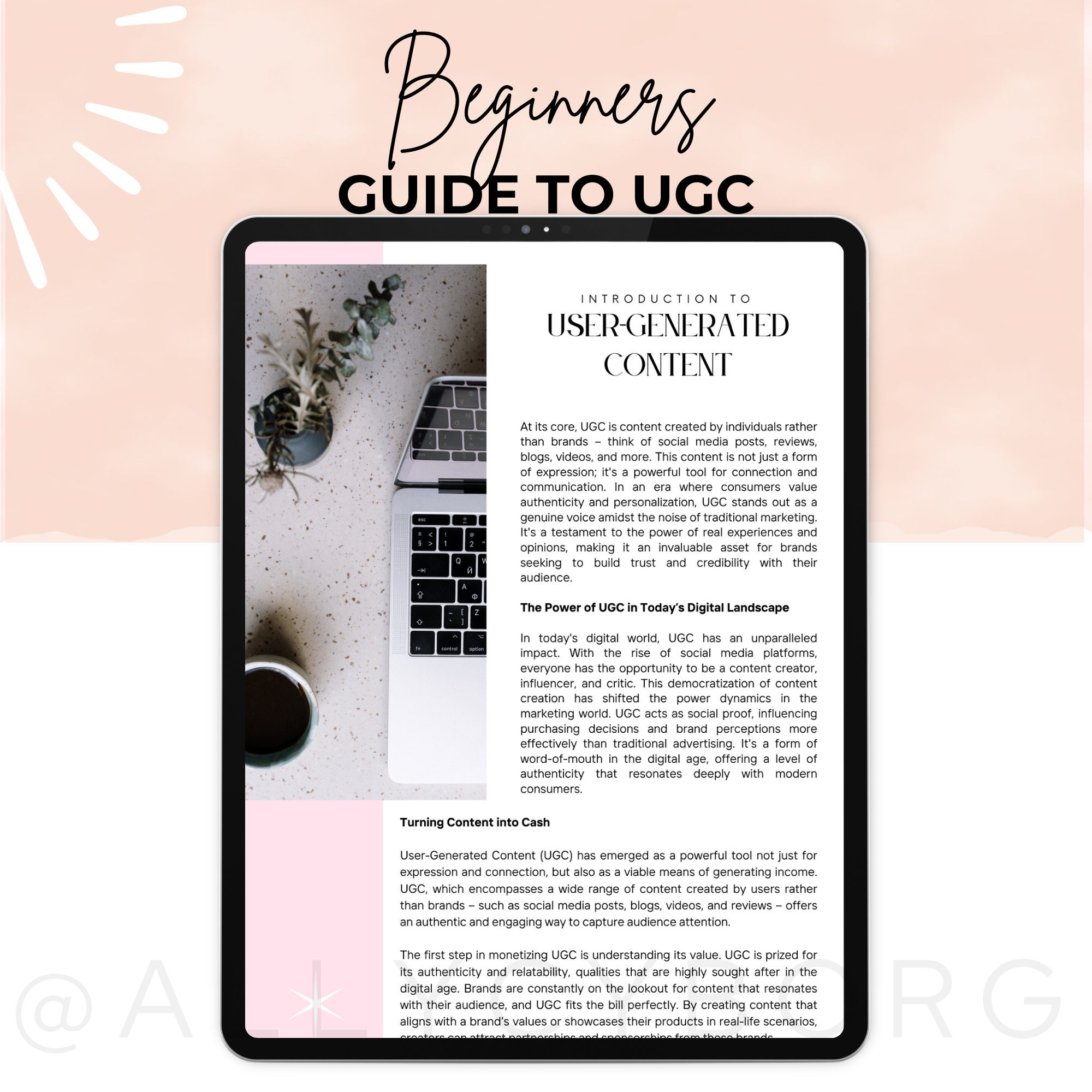 Beginners Guide to UGC Success Guide With Master Resell Rights MRR and ...