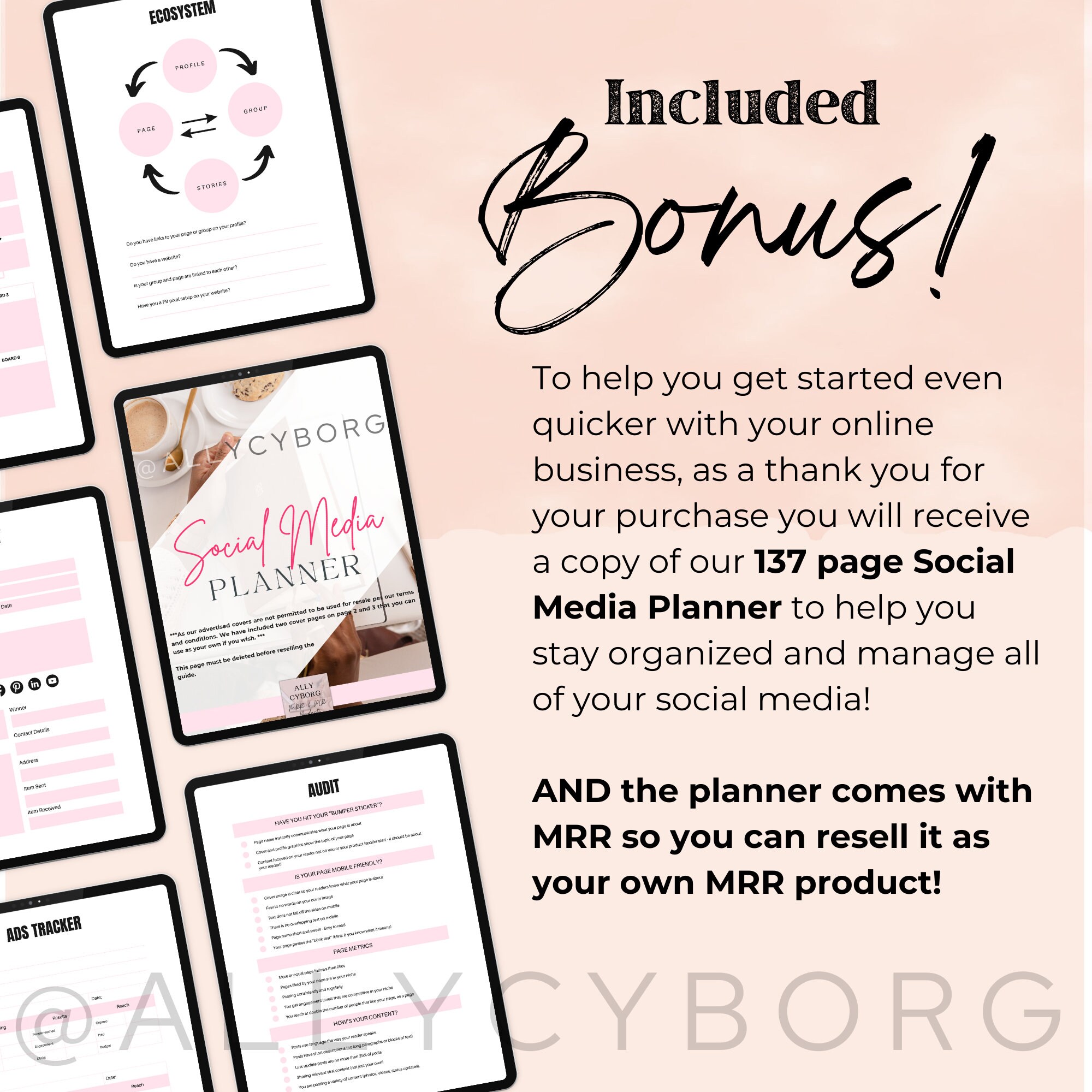 The Ultimate Social Media Marketing Blueprint With Master Resell Rights ...