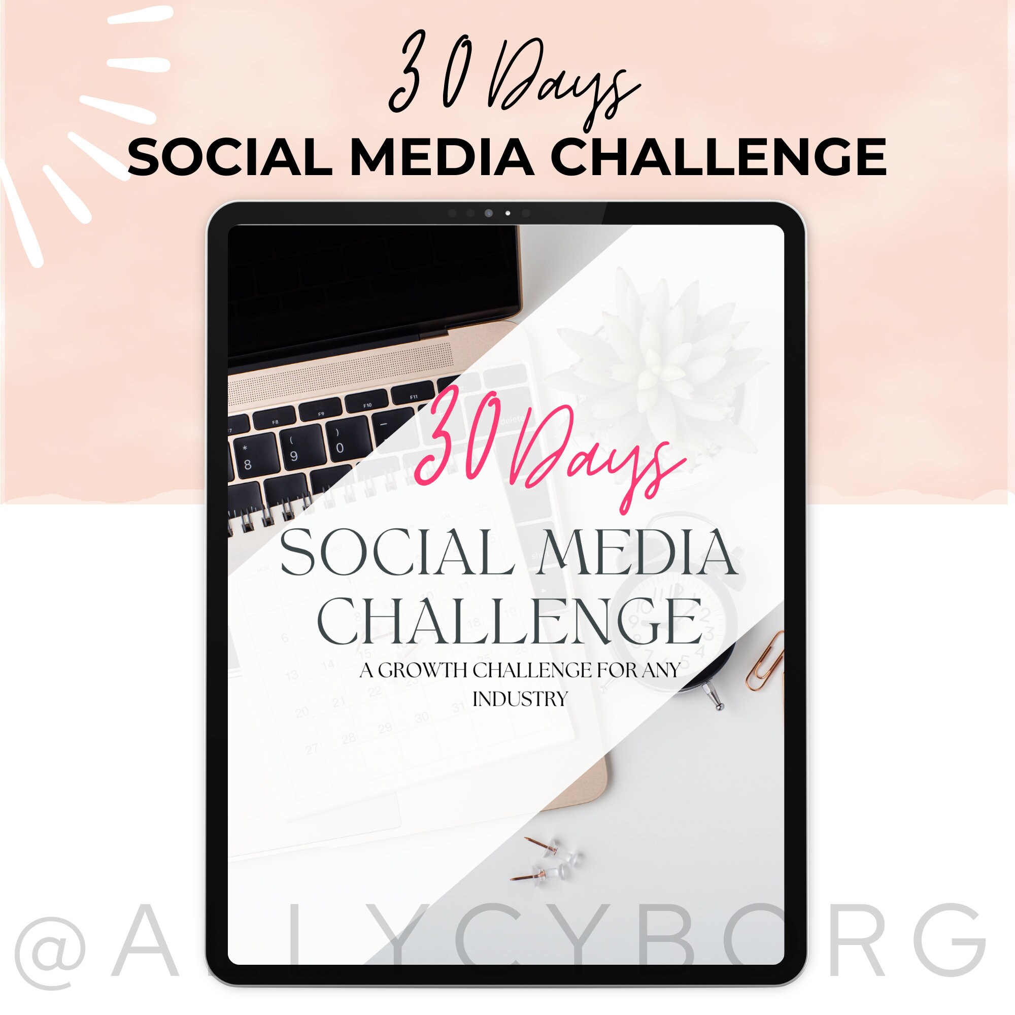 The 30 Days Social Media Challenge Guide With Master Resell Rights MRR ...