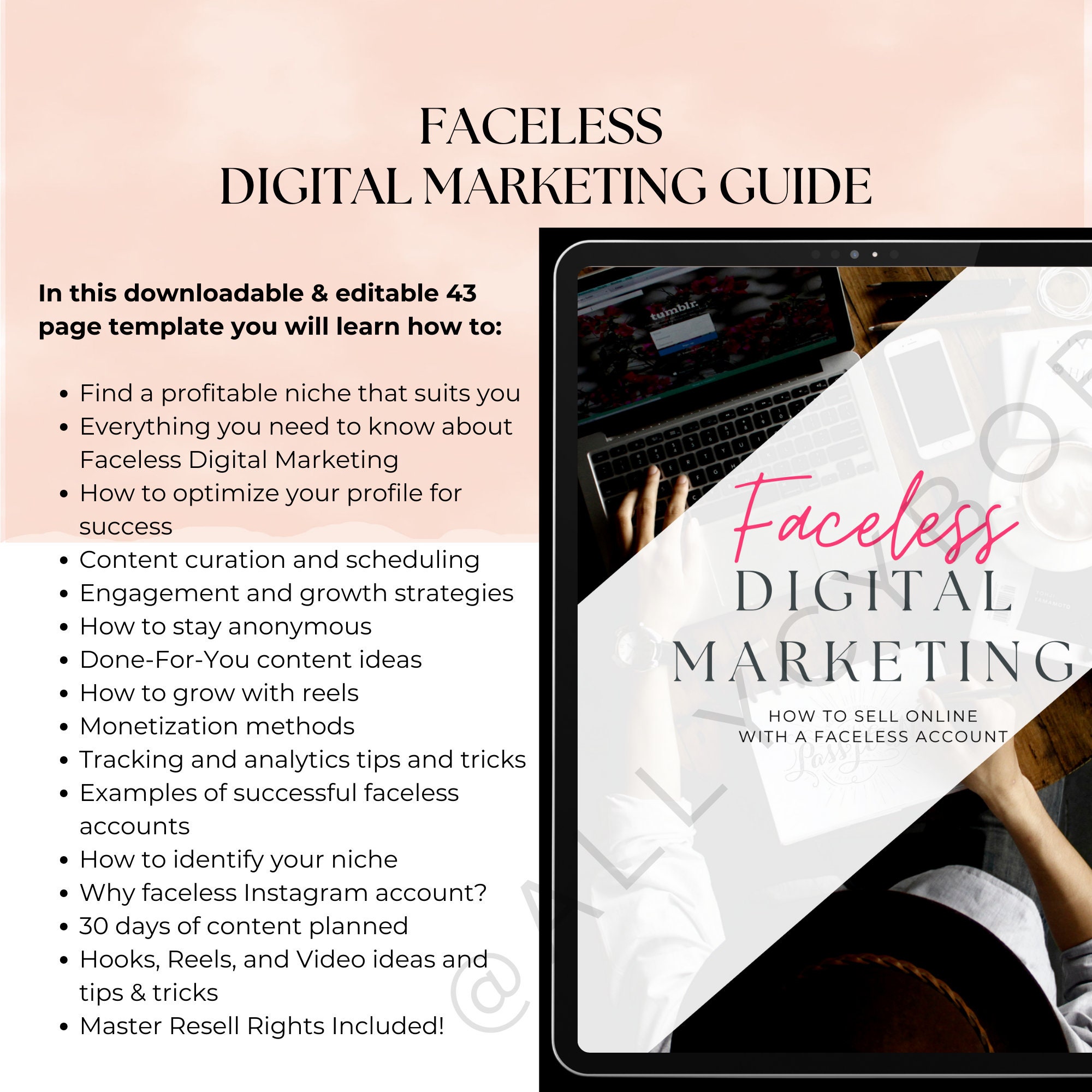 Faceless Digital Marketing Guide WHOLE Library W Master Resell Rights MRR & Private Label Rights ...