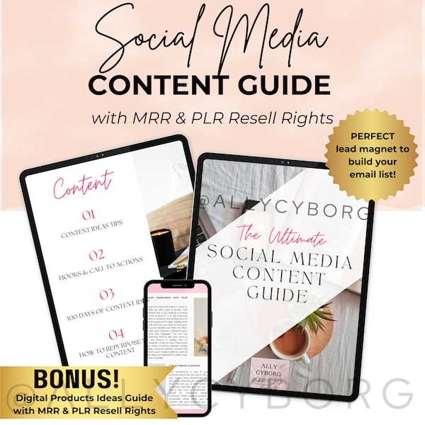 How to Achieve Financial Freedom With MRR W/ Master Resell Rights ...