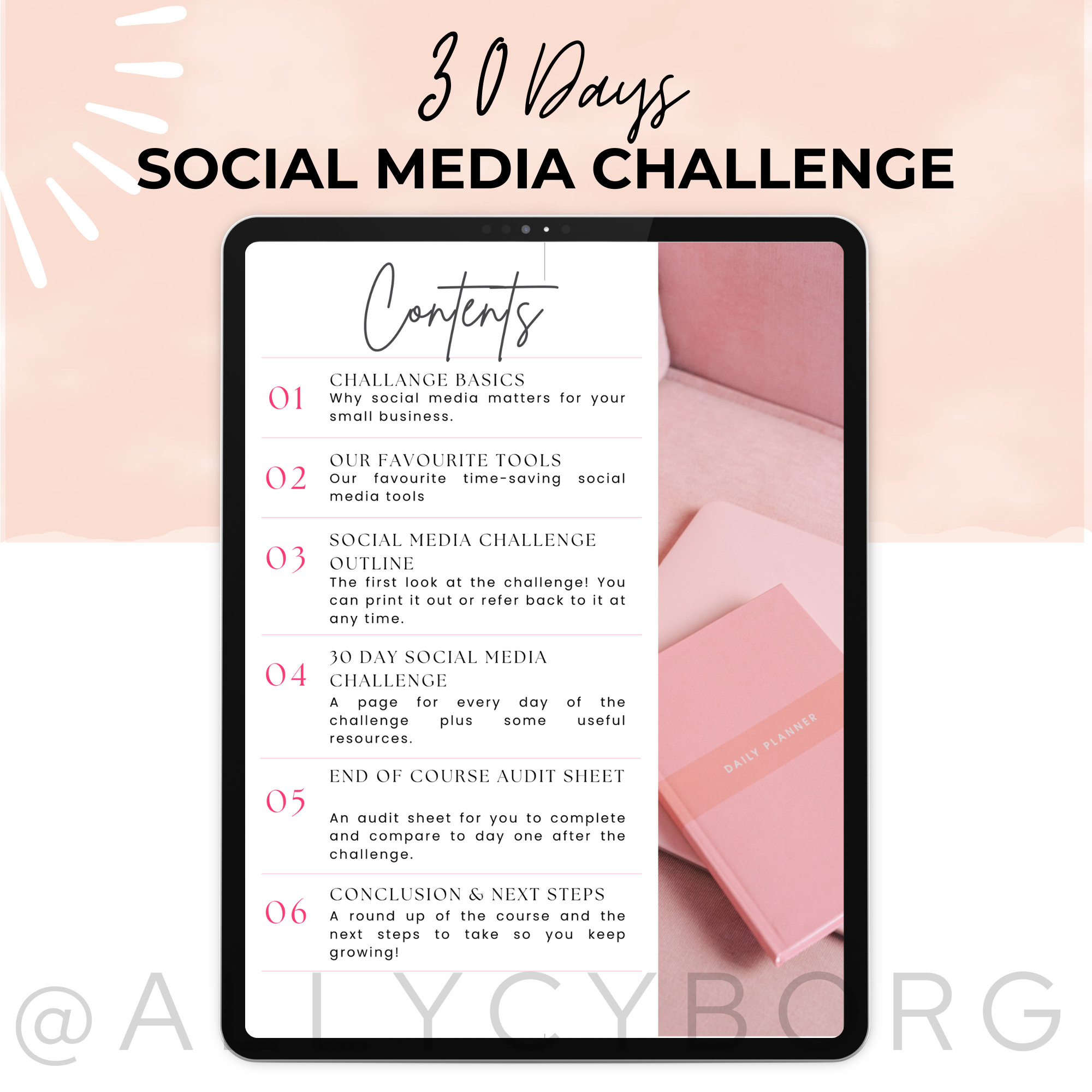 The 30 Days Social Media Challenge Guide With Master Resell Rights MRR & Private Label Rights ...