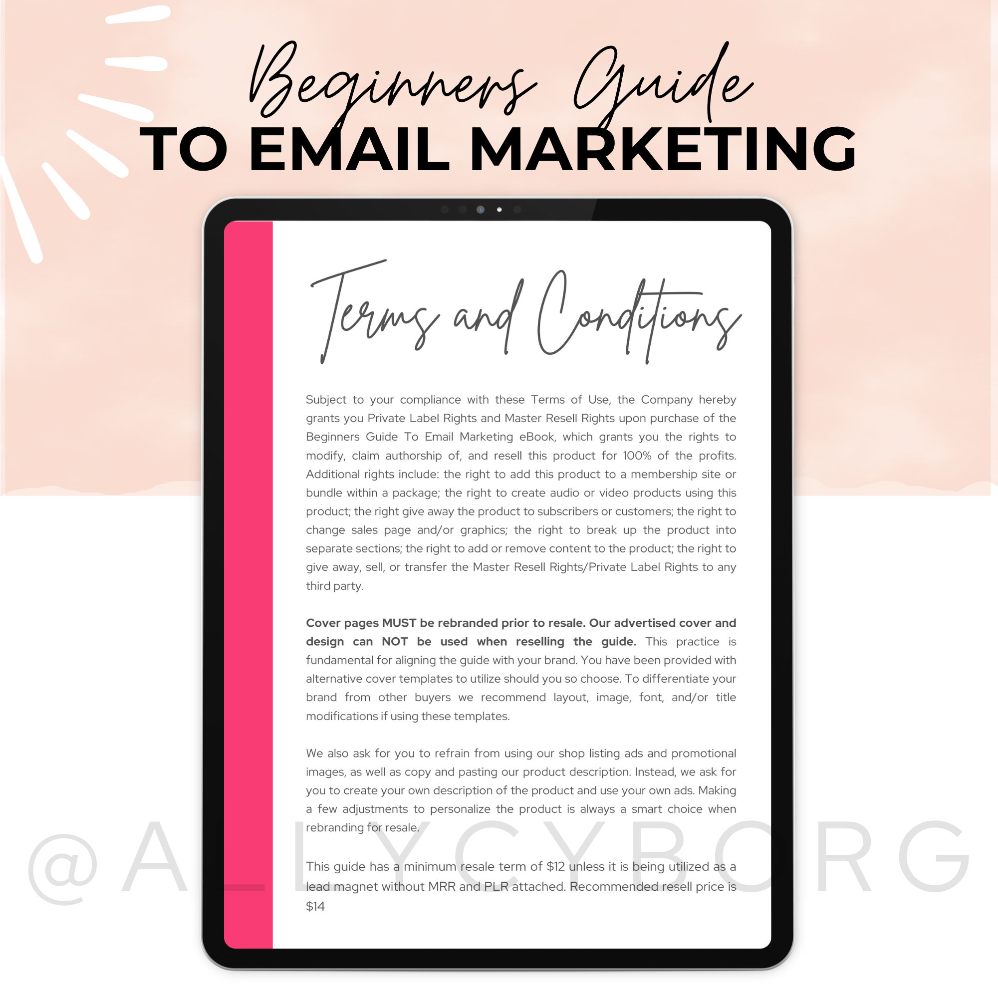 Beginners Guide to Email Marketing Guide W/ Master Resell Rights MRR ...
