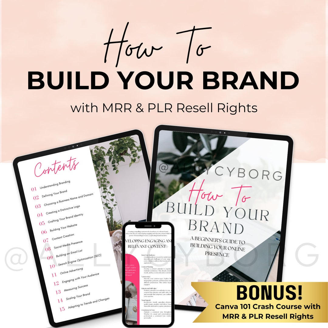 How to Build Your Brand Guide With Master Resell Rights MRR & Private ...