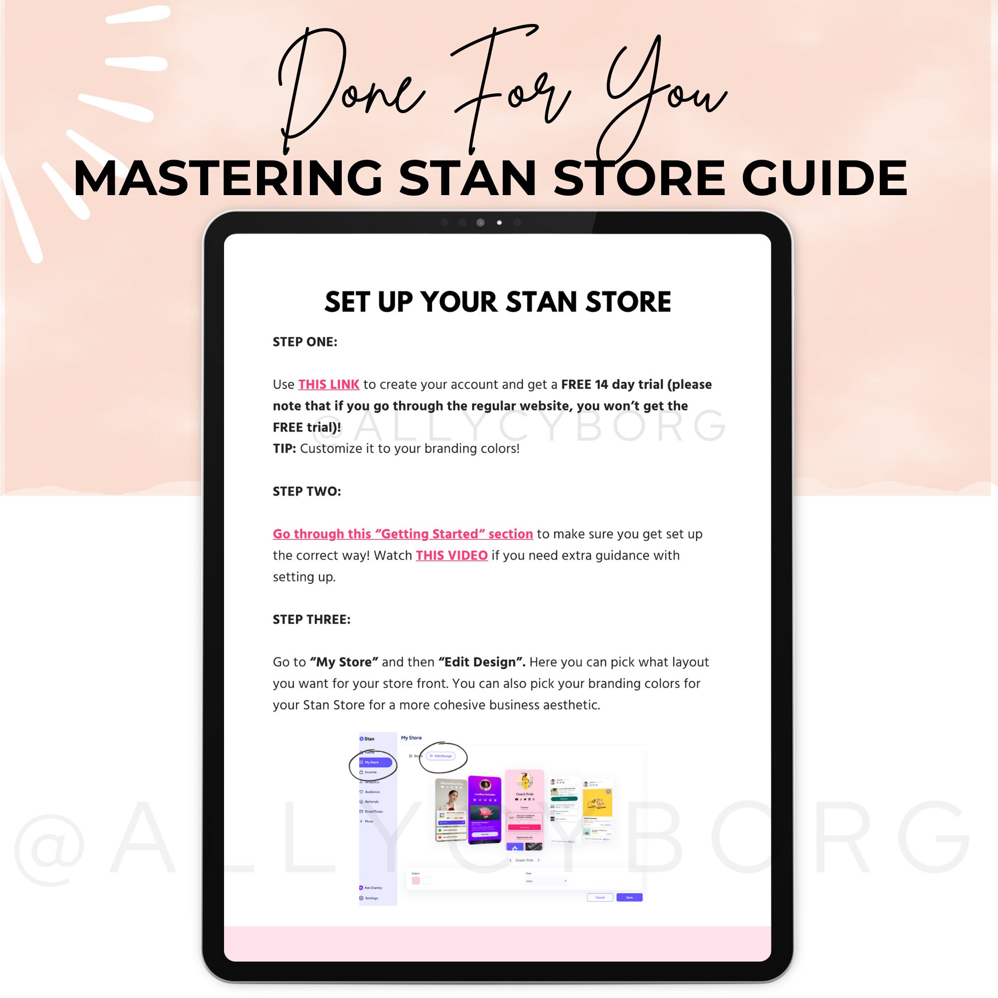 Mastering Stan Store Guide W Master Resell Rights MRR Private Label ...