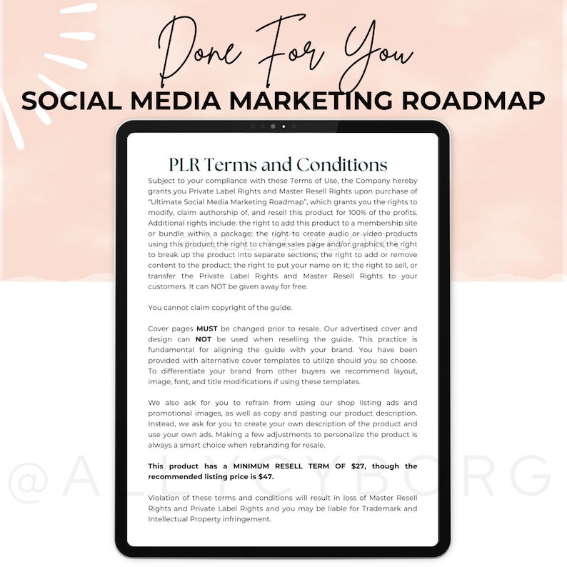 The Ultimate Social Media Marketing Blueprint With Master Resell Rights ...