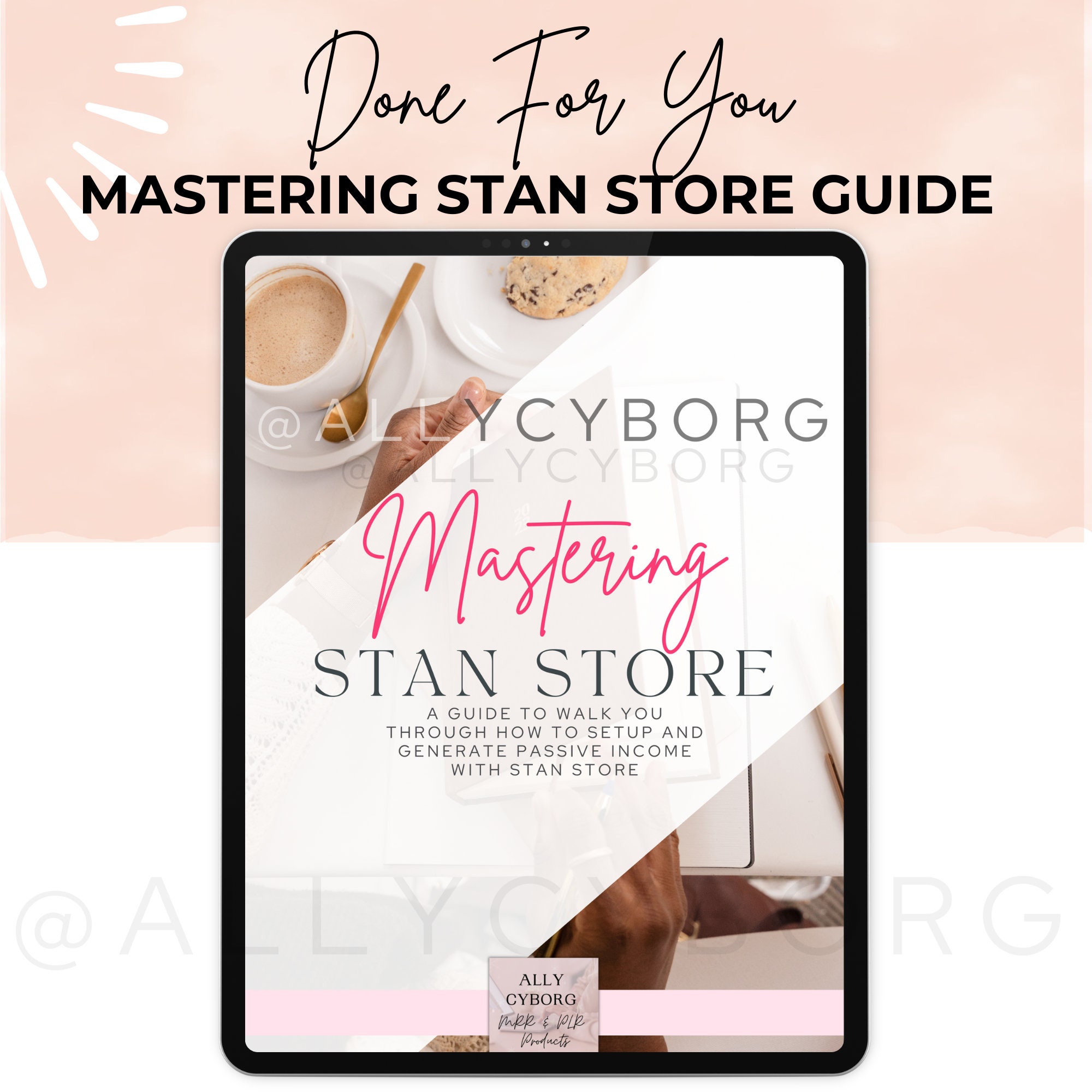 Mastering Stan Store Guide W Master Resell Rights MRR Private Label ...