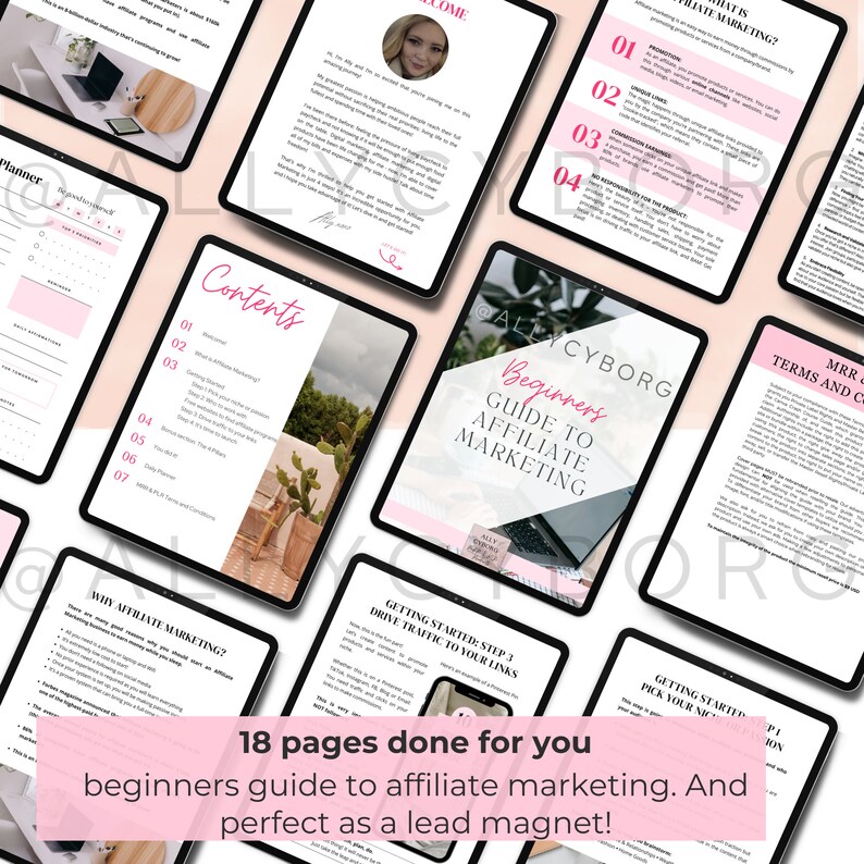 Beginners Guide to Affiliate Marketing With Master Resell Rights MRR ...