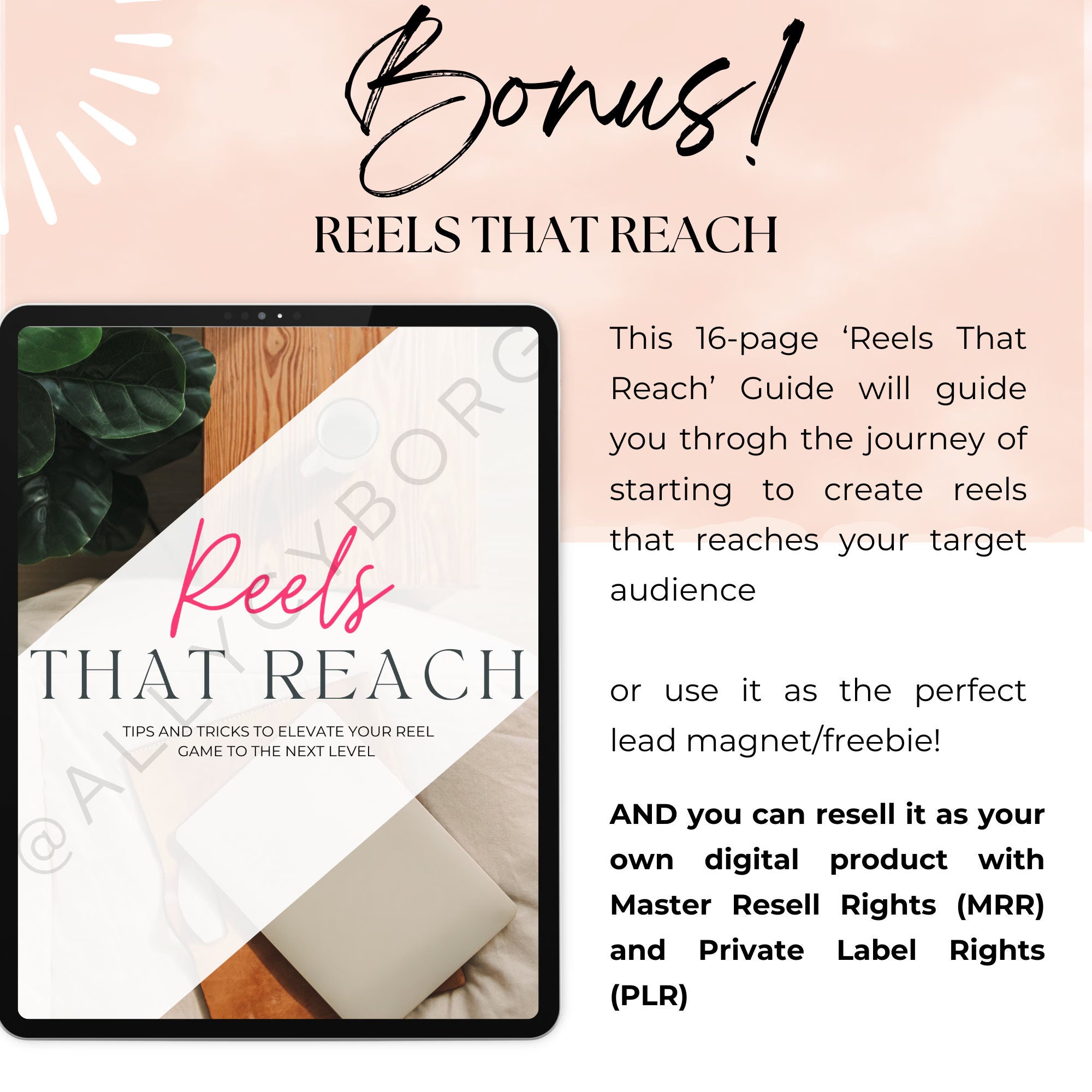 Hustling CEO Mindset Posts Reels Bundle With MRR Master Resell Rights ...