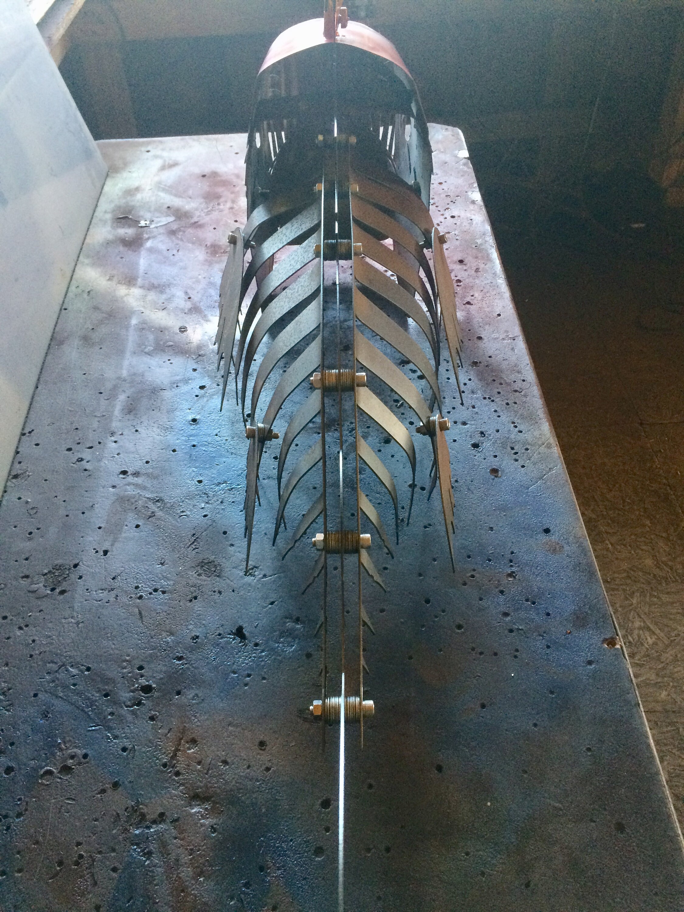 DXF File Angler Fish Skeleton - Etsy