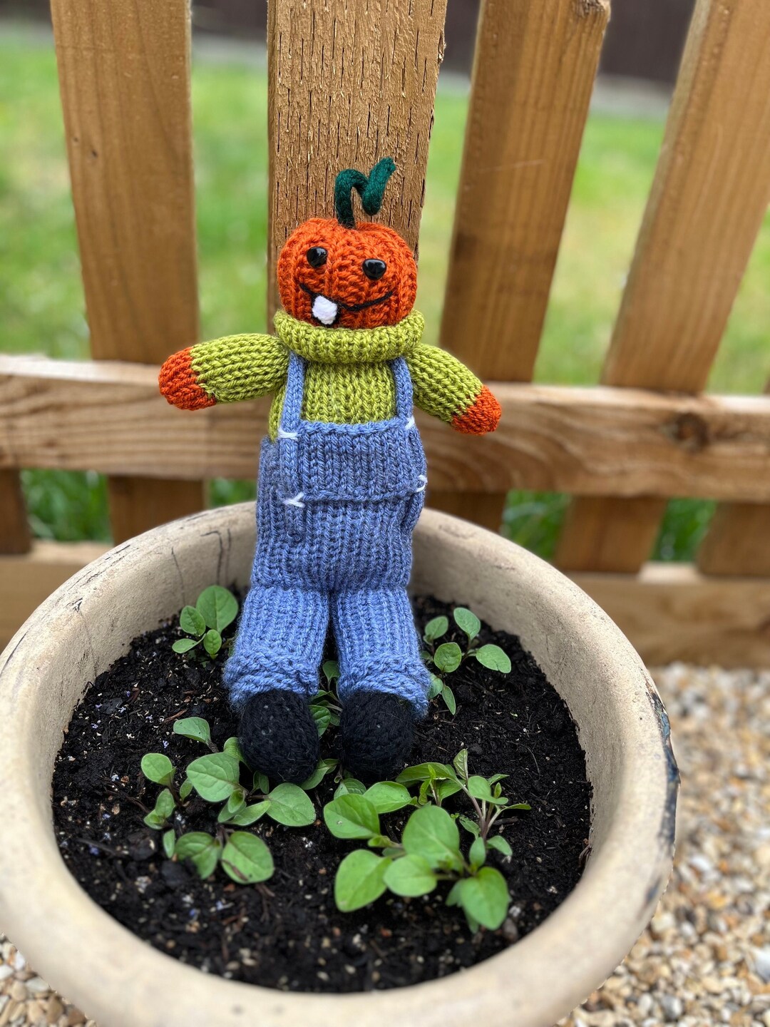 Mr Pumpkin Pattern Addi 22/sentro 22 Circular Knitting Machine - Etsy