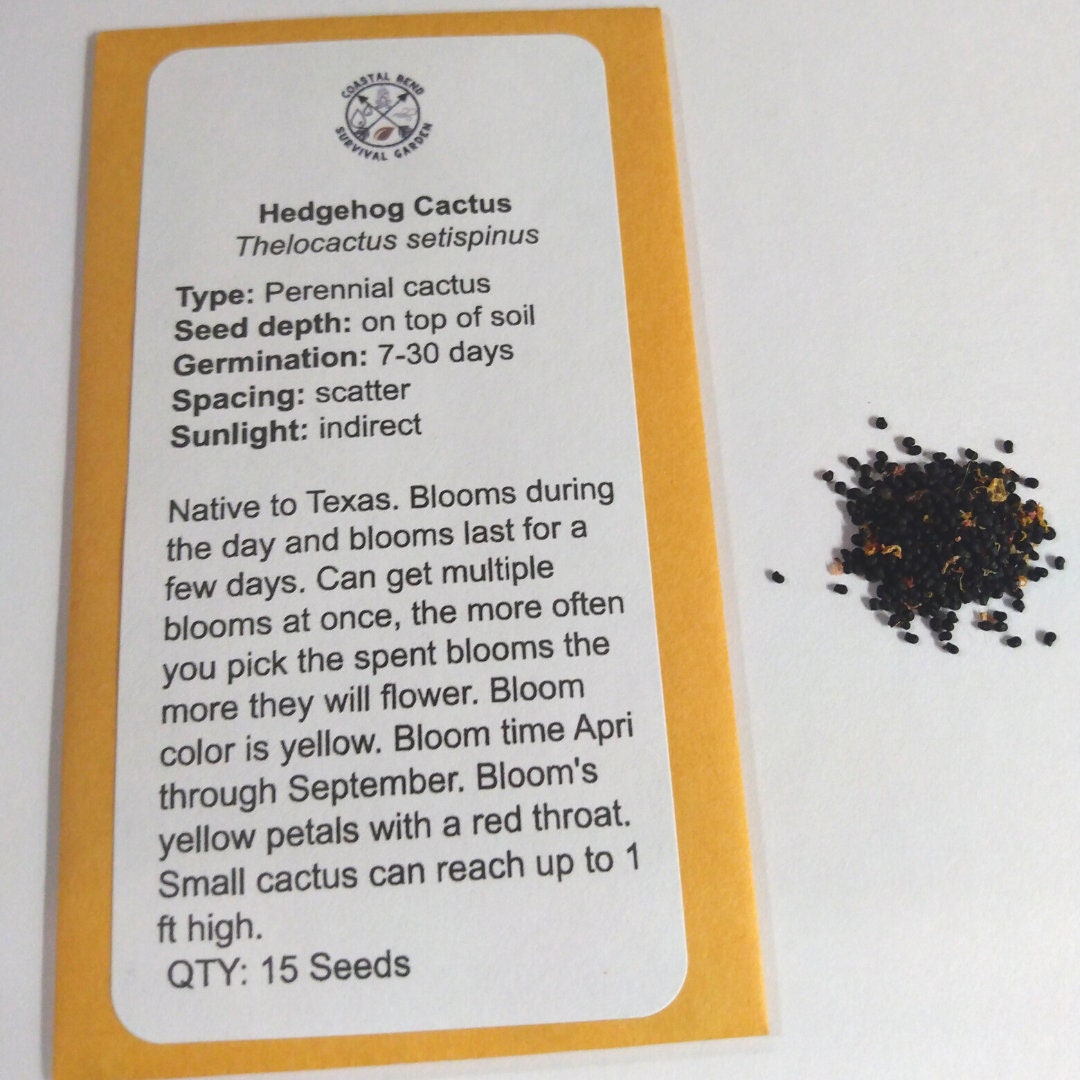 10 Hedgehog Cactus Seeds- Hamatocactus Setispinus - Etsy