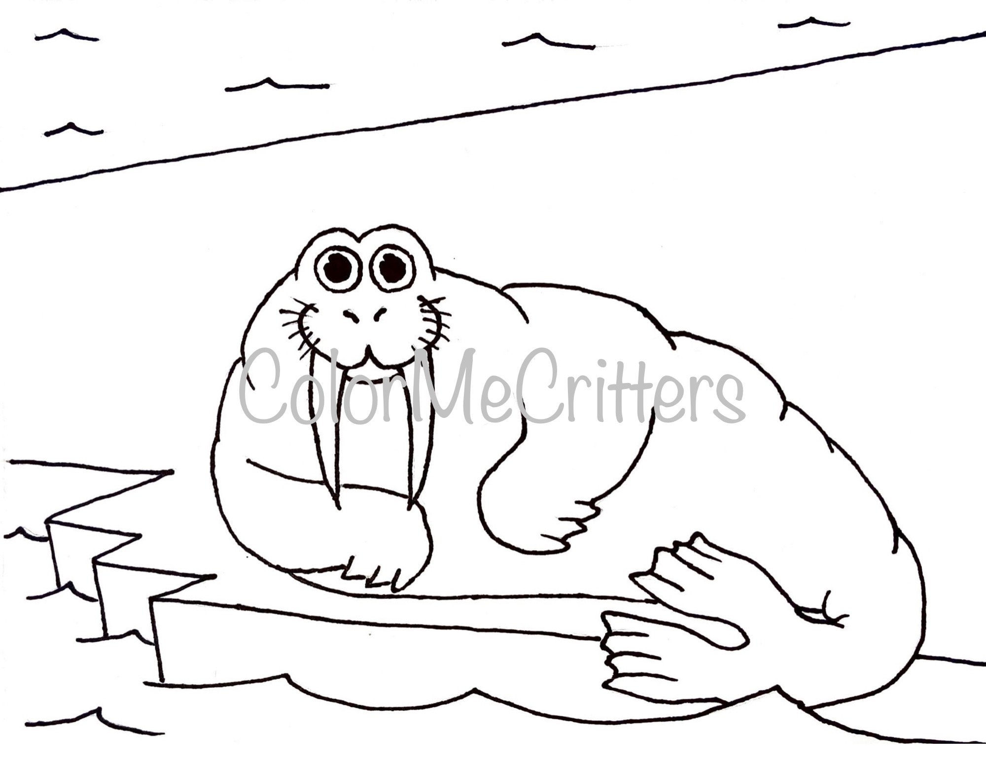 Walrus Coloring Pages For Kids