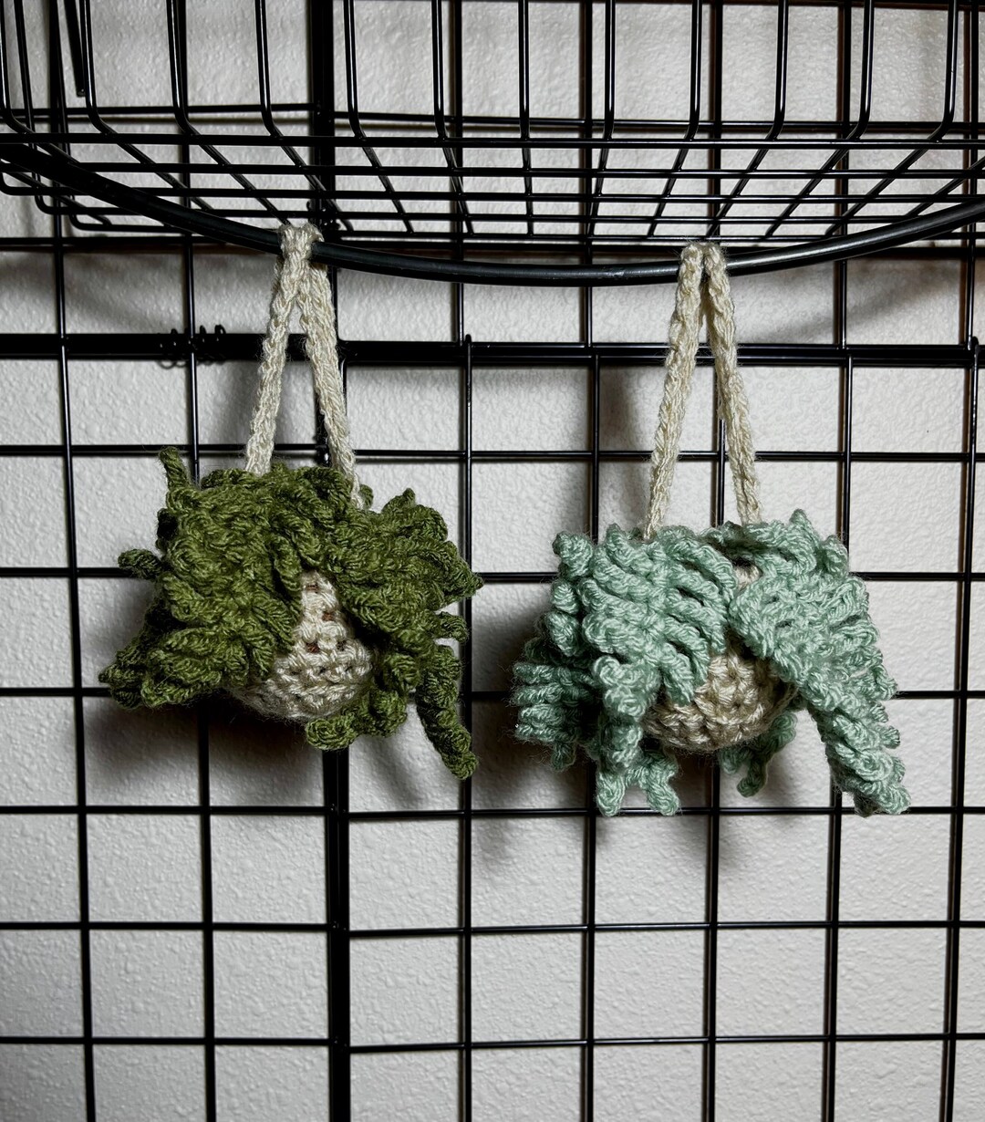 Hanging Crochet Fern, Car Fern, Crochet Hanging Plant, Car Decoration ...