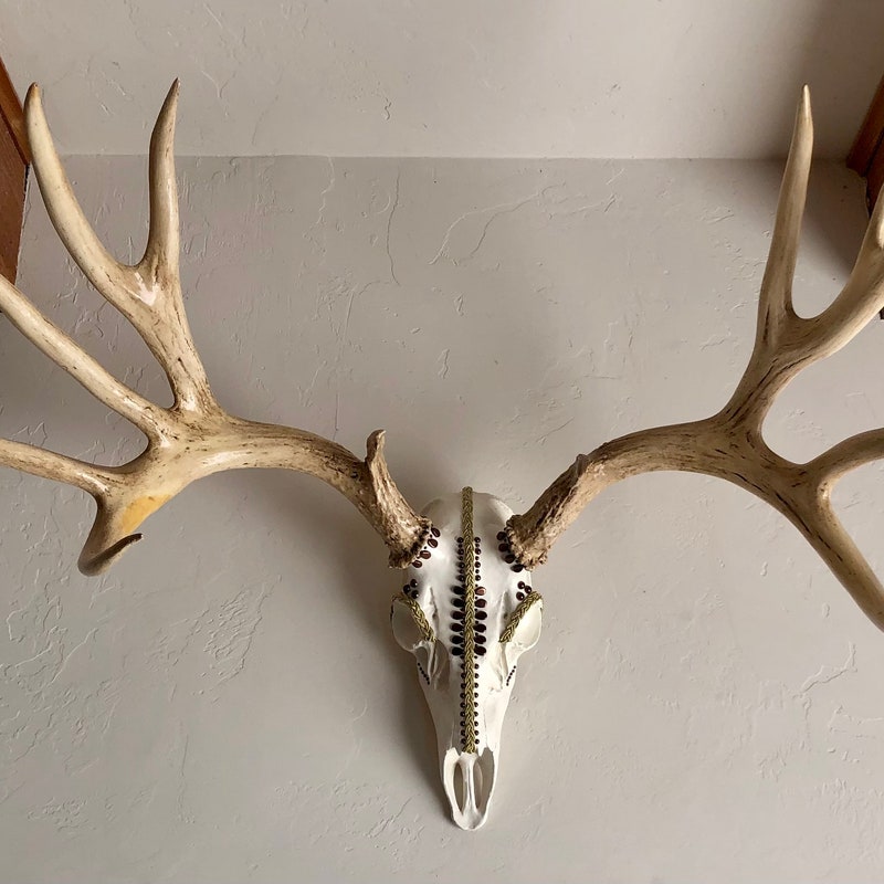 Deer Skull Antlers - Etsy