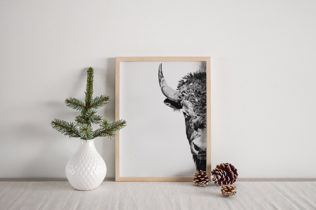 Black and White Buffalo Poster, Animal Print, Digital Wall Art - Etsy