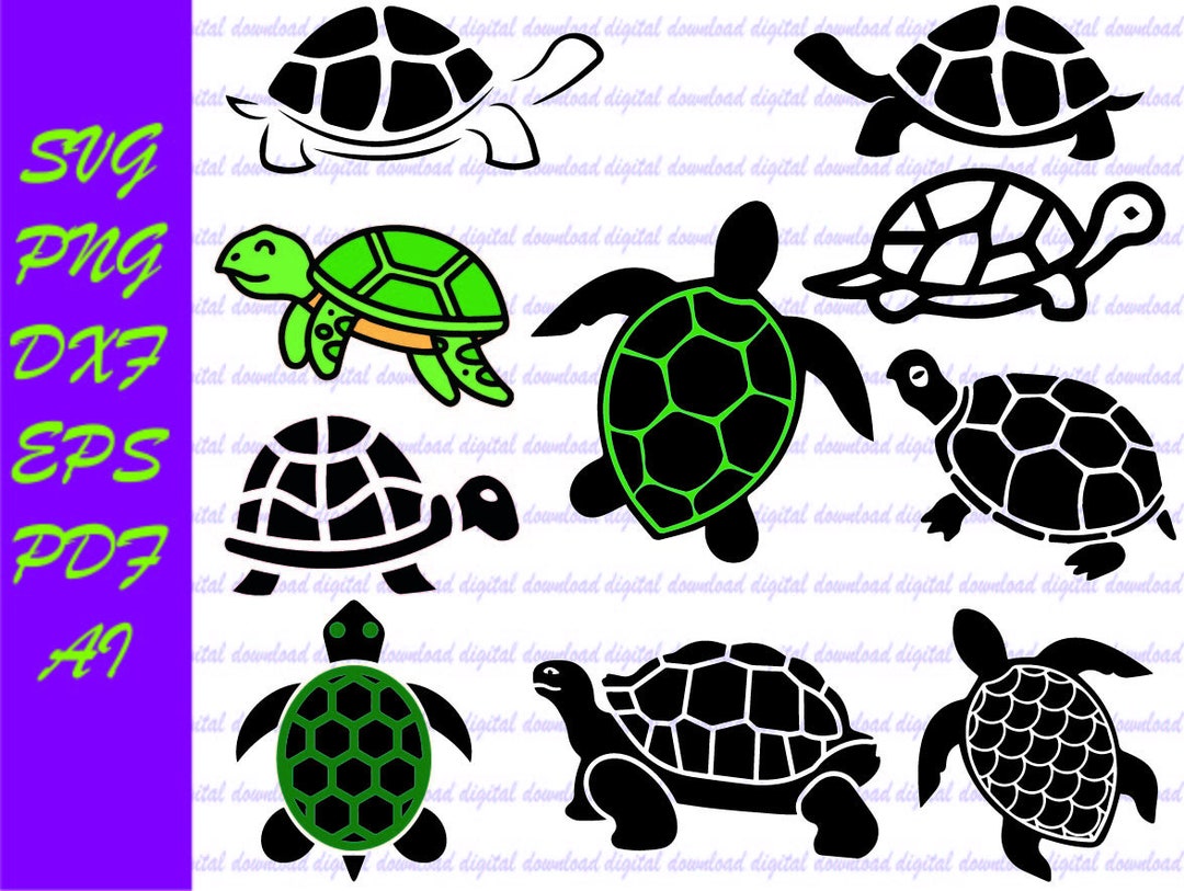 Tortue Svg tortue de mer Svg tortue PNG tortue clipart - Etsy France