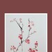 Bright Pink Cherry Blossom Original Sumi-e Painting. Ink and ...