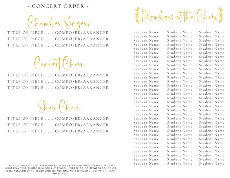 EDITABLE Concert Program Template | Instant Printable Download | Music ...