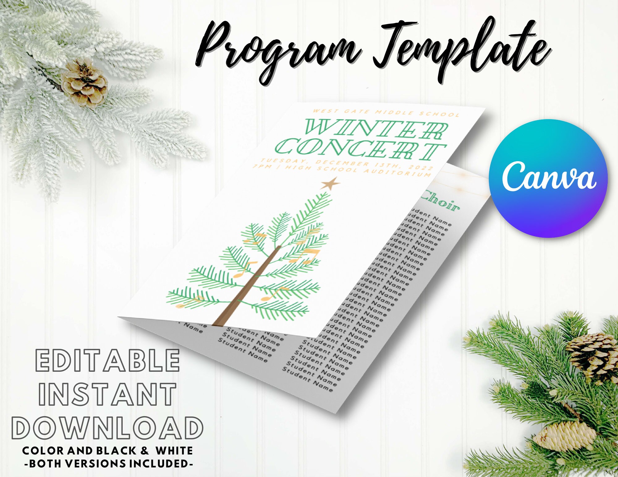 EDITABLE Concert Program Template | Instant Printable Download | Music ...