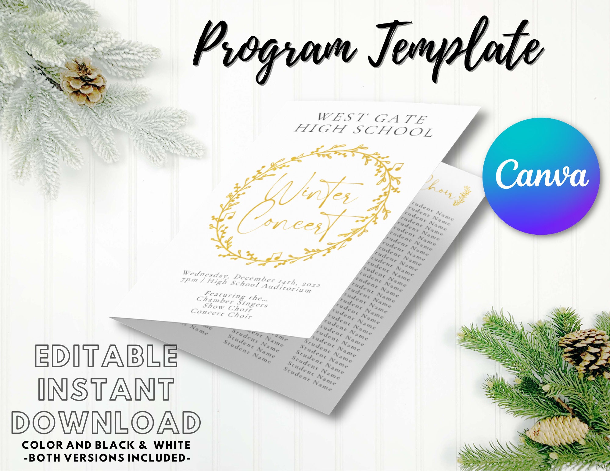 EDITABLE Concert Program Template | Instant Printable Download | Music ...