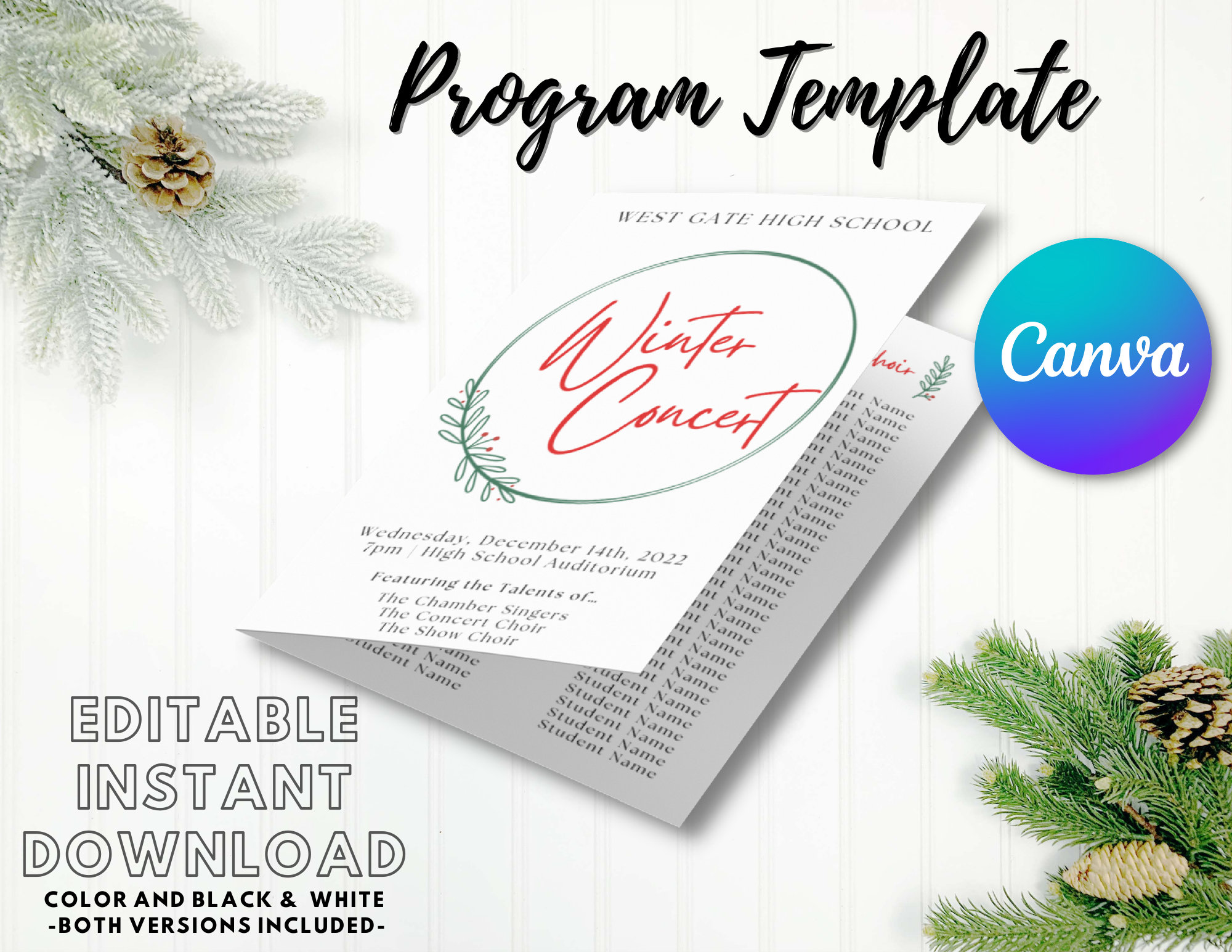 EDITABLE Concert Program Template | Instant Printable Download | Music ...