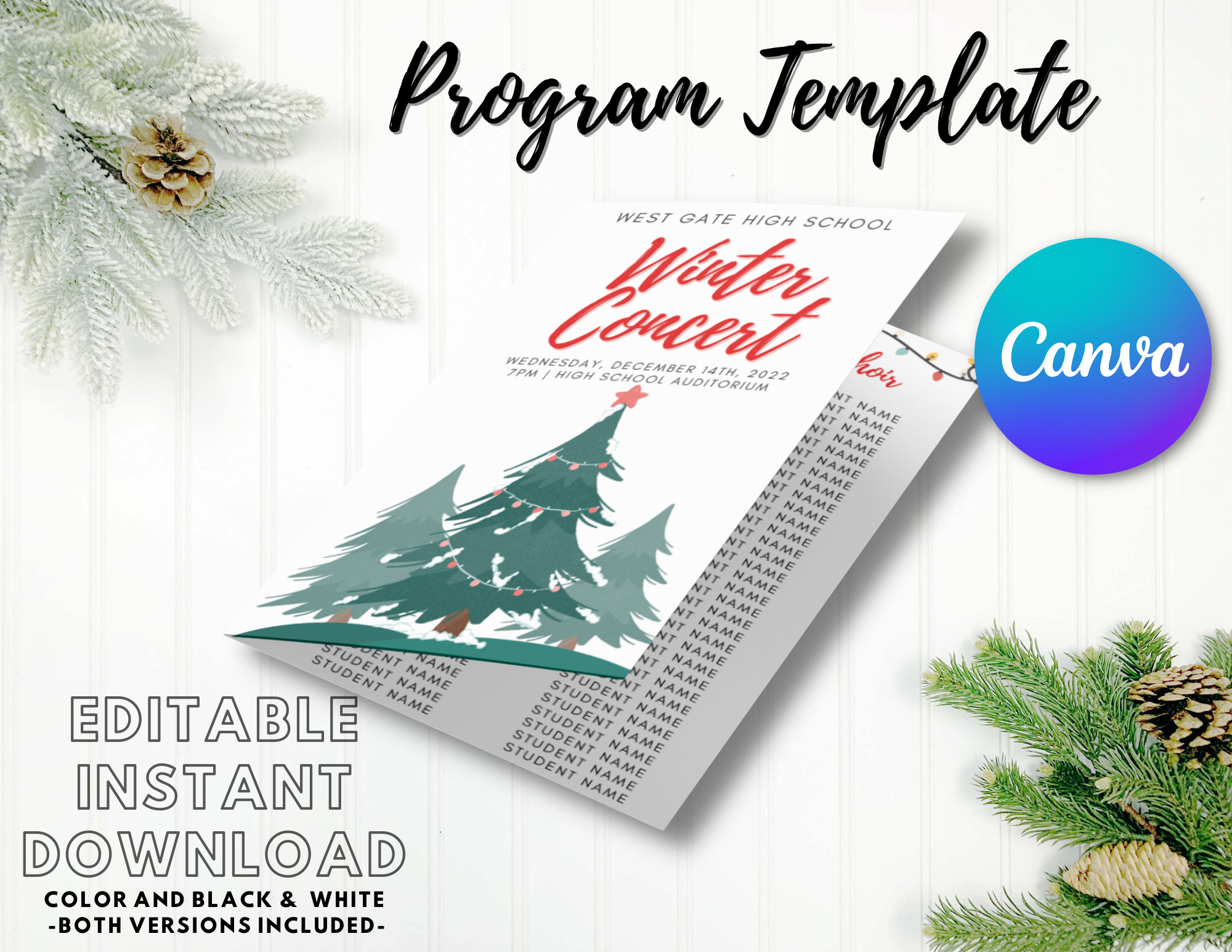 EDITABLE Concert Program Template Instant Printable Download Music ...