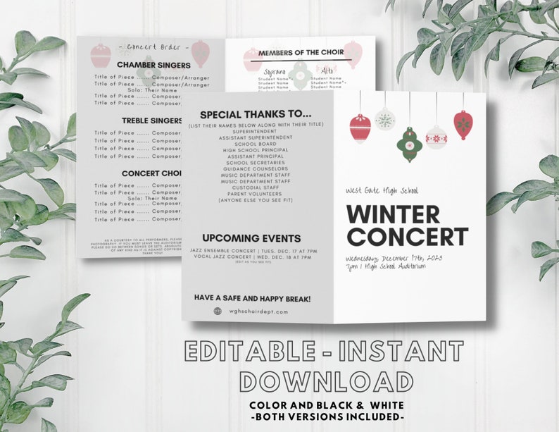 EDITABLE Concert Program Template | Instant Printable Download | Music ...