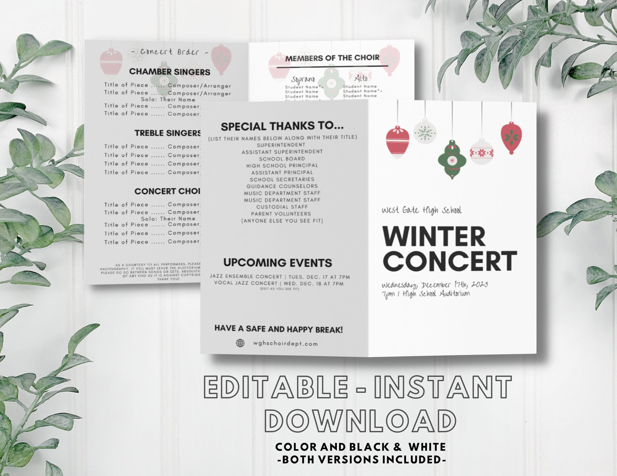 EDITABLE Concert Program Template | Instant Printable Download | Music ...