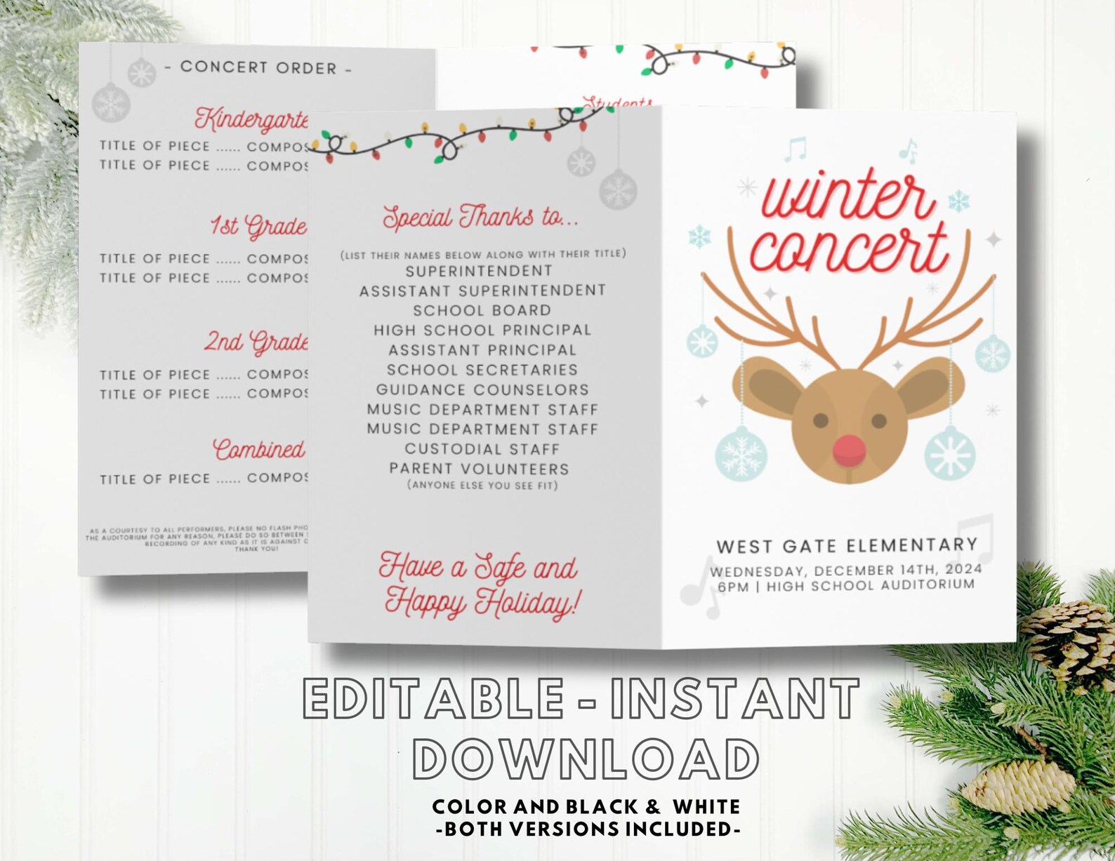EDITABLE Concert Program Template | Instant Printable Download | Music ...