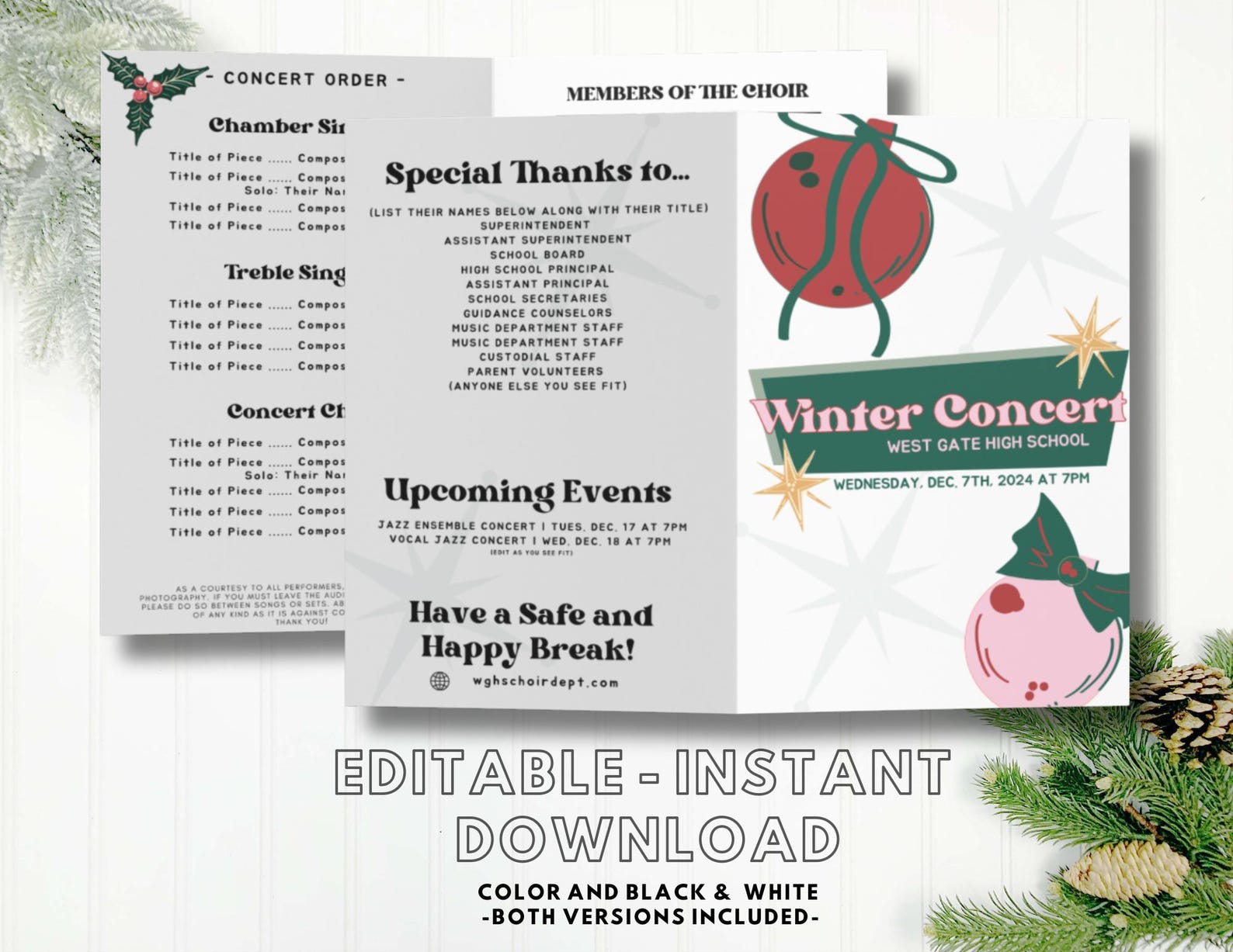 EDITABLE Concert Program Template | Instant Printable Download | Music ...
