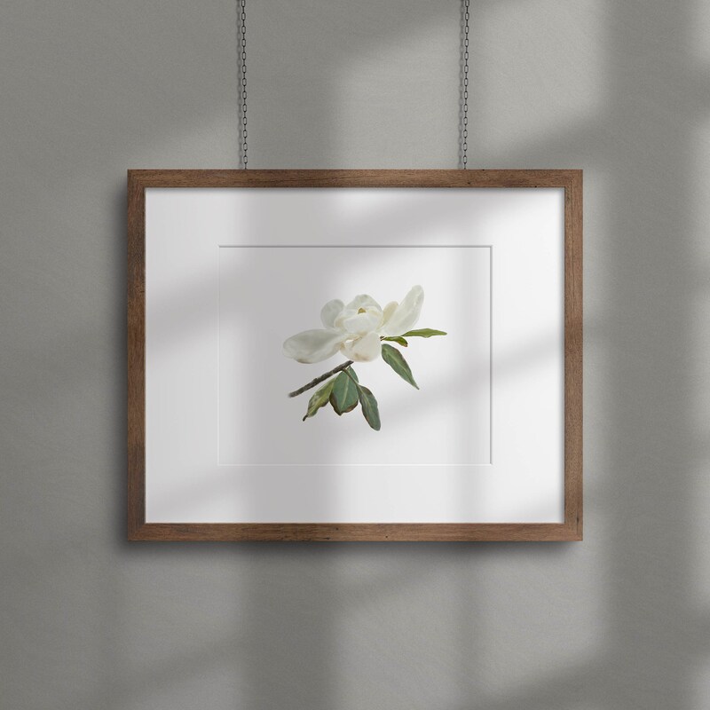 Magnolia Print - Etsy