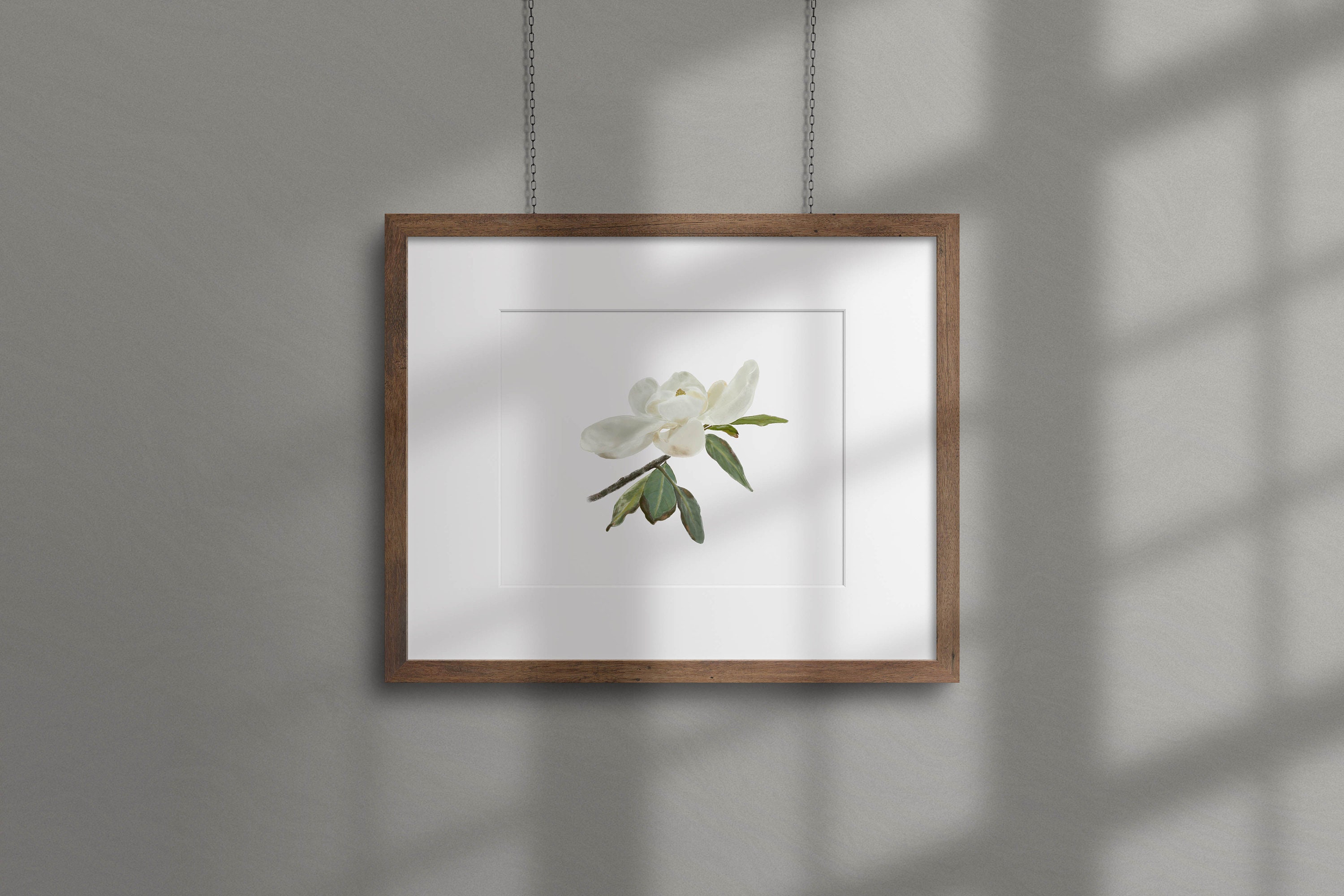 Magnolia Print Southern Magnolia Print White Magnolia - Etsy