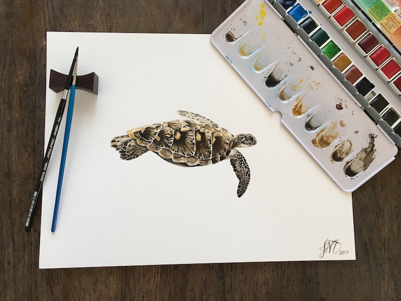 Green Sea Turtle Print Watercolor Art Print Turtle Art - Etsy
