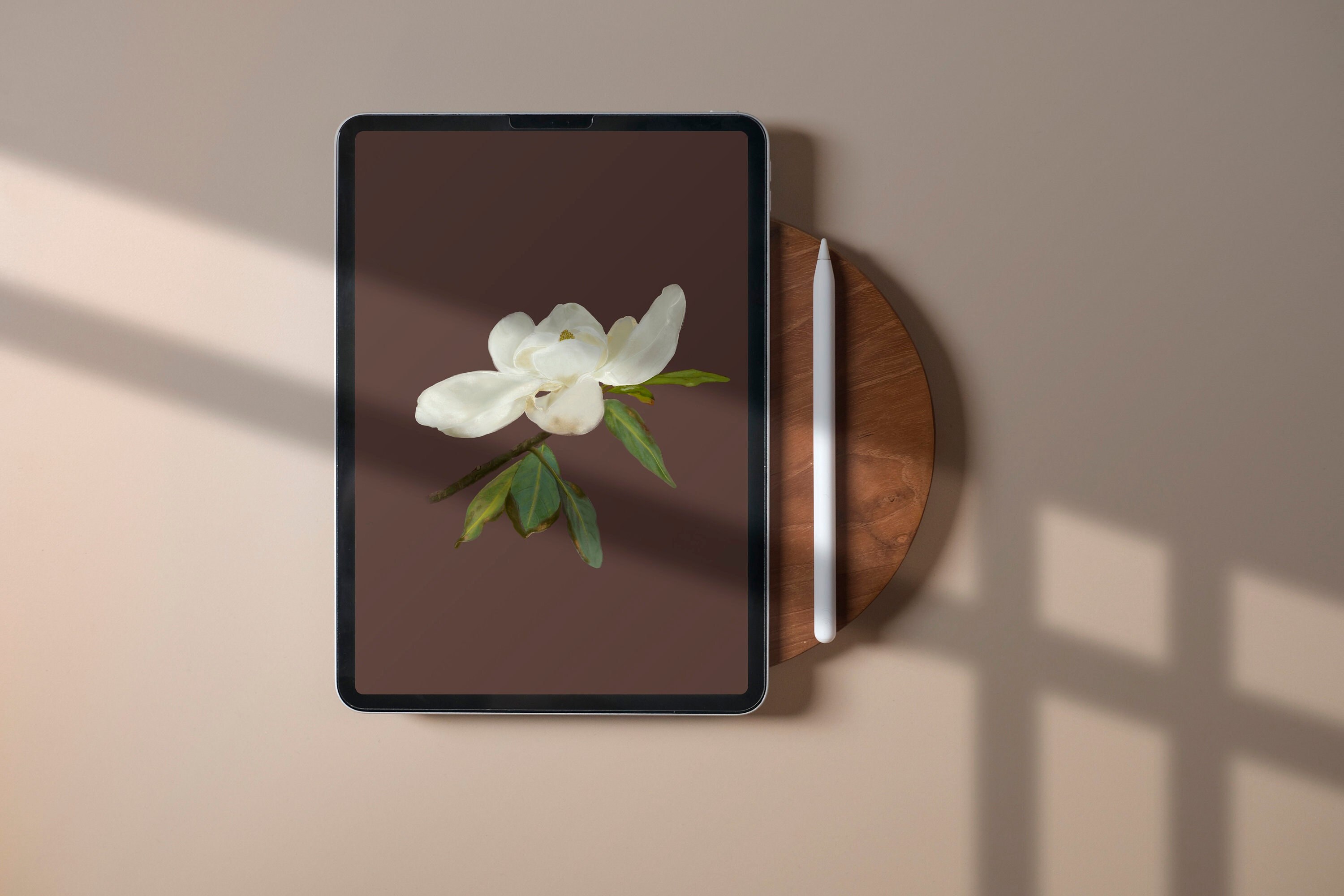 Magnolia Print Southern Magnolia Print White Magnolia - Etsy