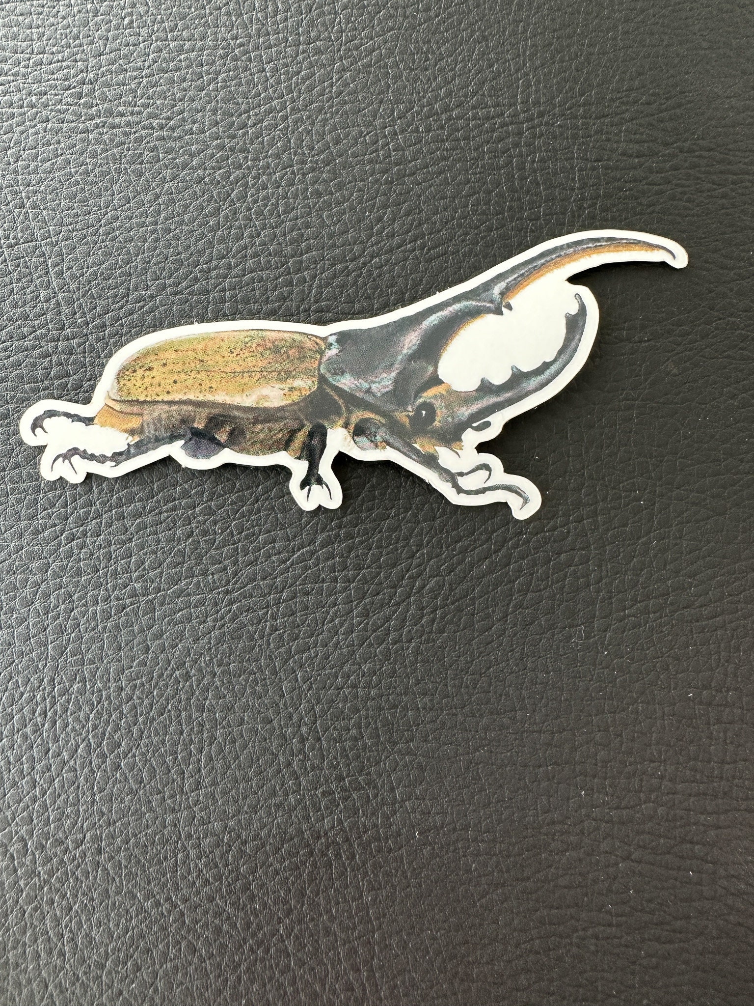 Beetle Sticker Hercules Beetle Sticker Waterproof Vinyl - Etsy