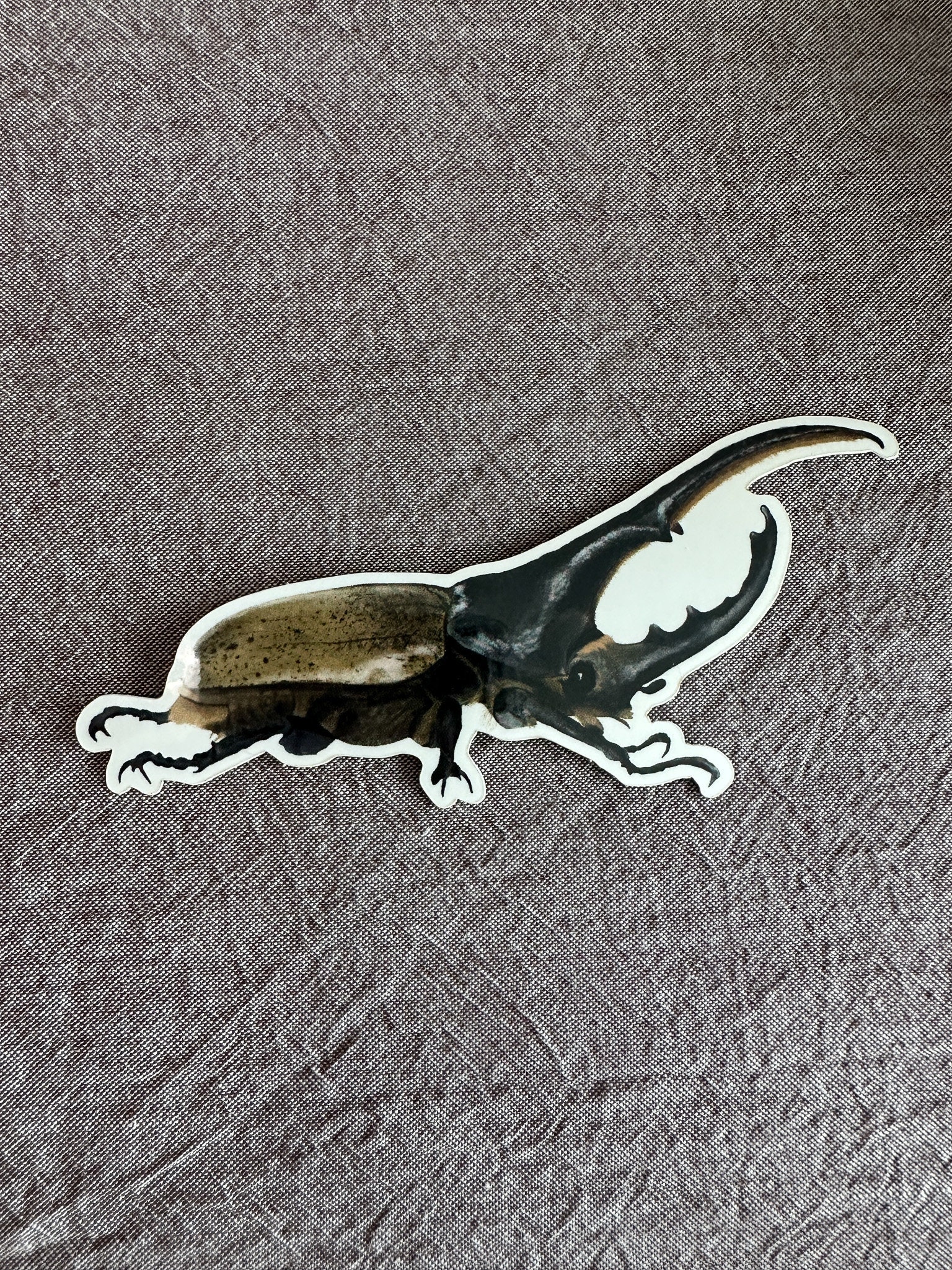 Beetle Sticker Hercules Beetle Sticker Waterproof Vinyl - Etsy