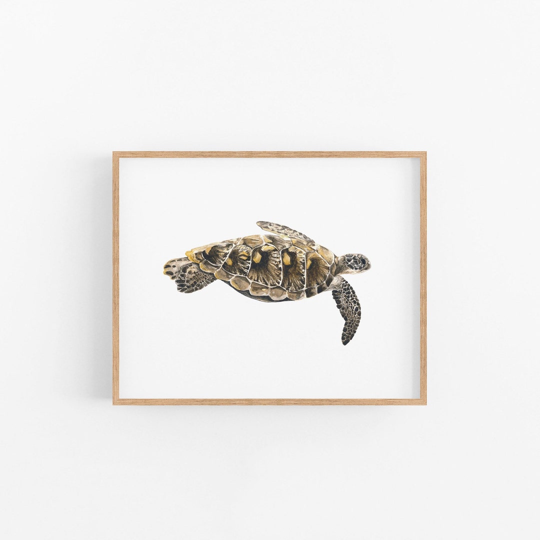 Green Sea Turtle Print, Watercolor Art Print, Turtle Art Print, Sea ...