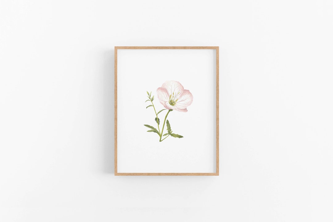 Primrose Print, Pink Floral Print, Wildflower Print, Primrose Painting ...