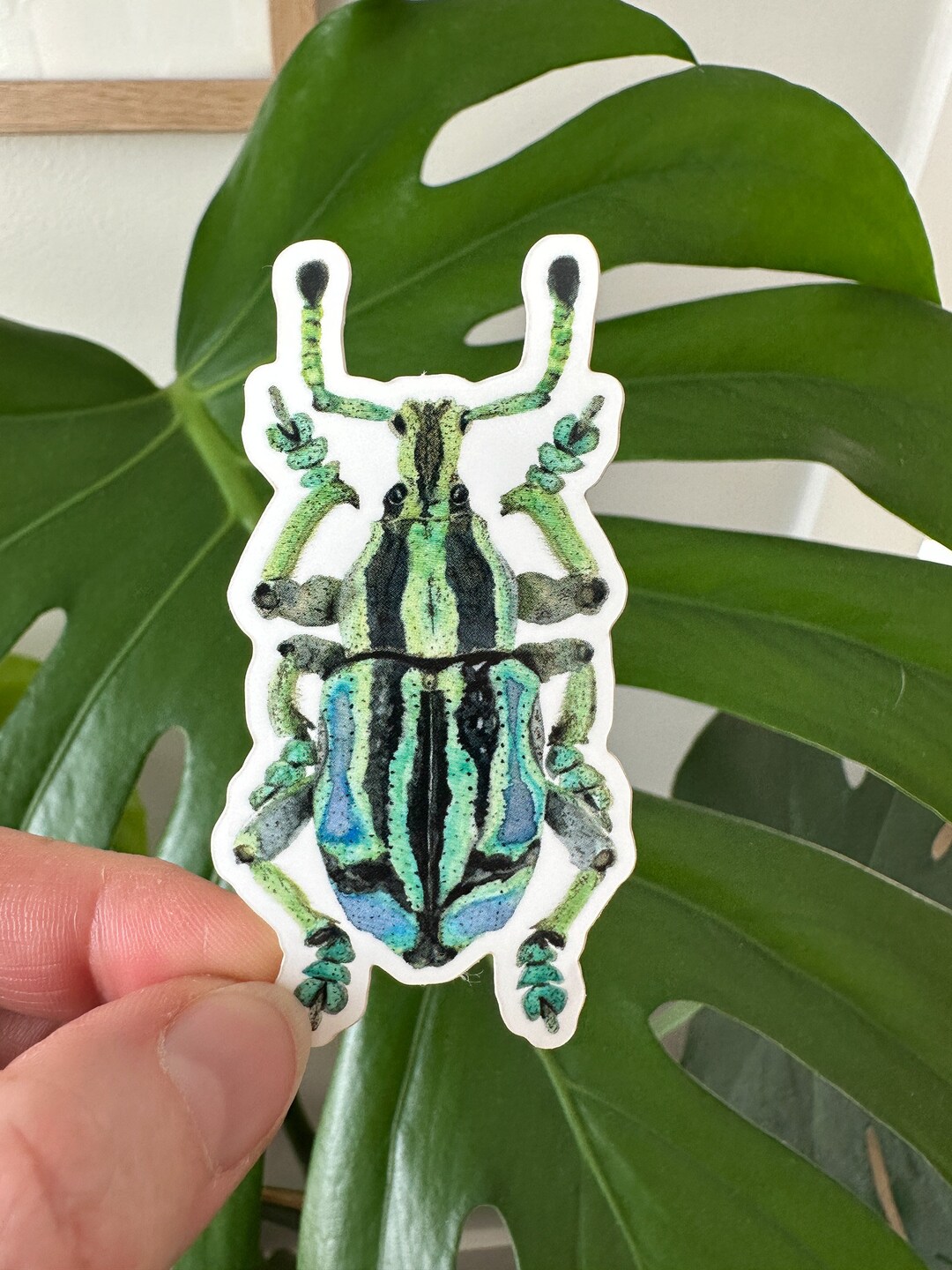 Beetle Sticker, Green Beetle Sticker, Waterproof Vinyl Sticker, Water ...