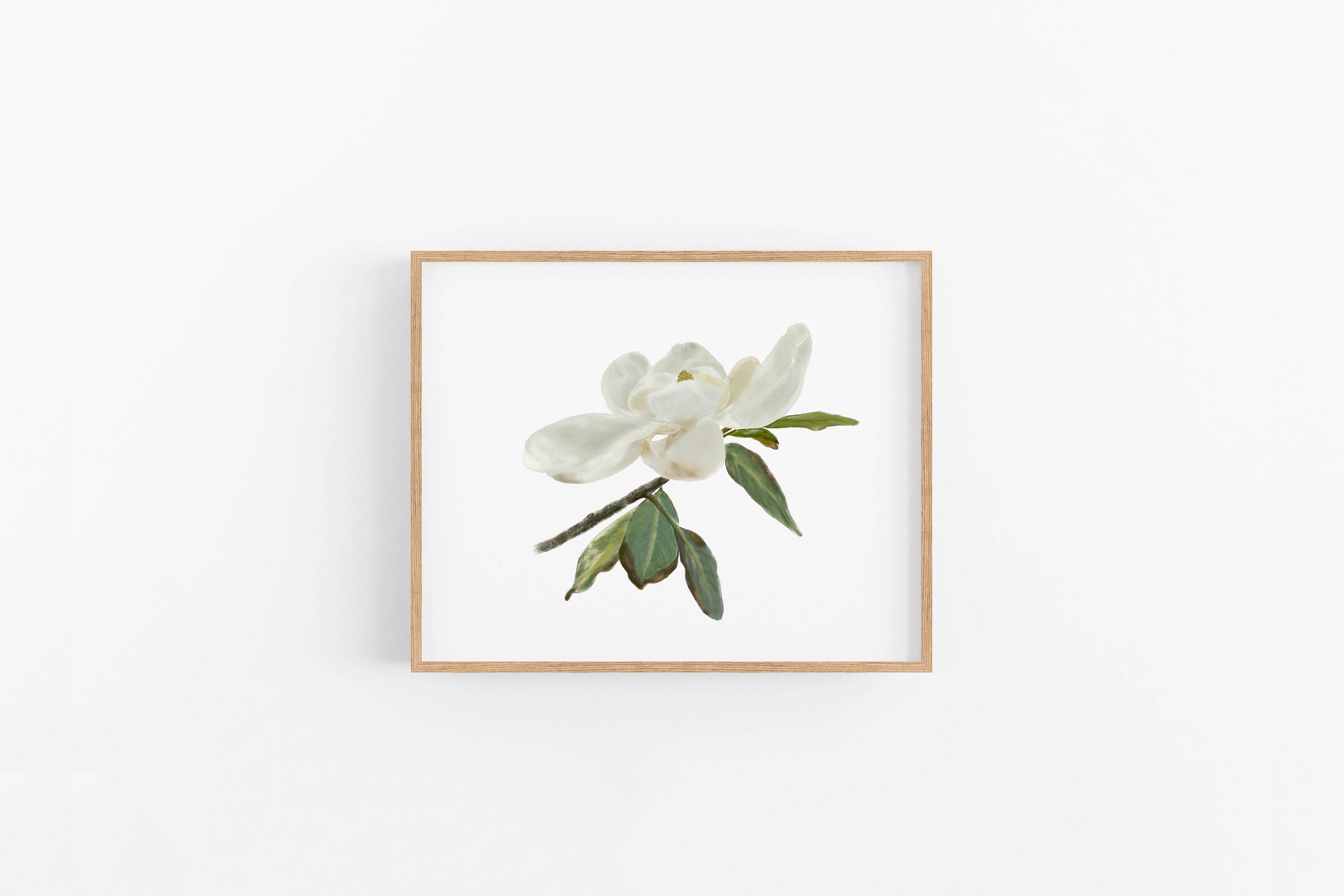Magnolia Print Southern Magnolia Print White Magnolia - Etsy