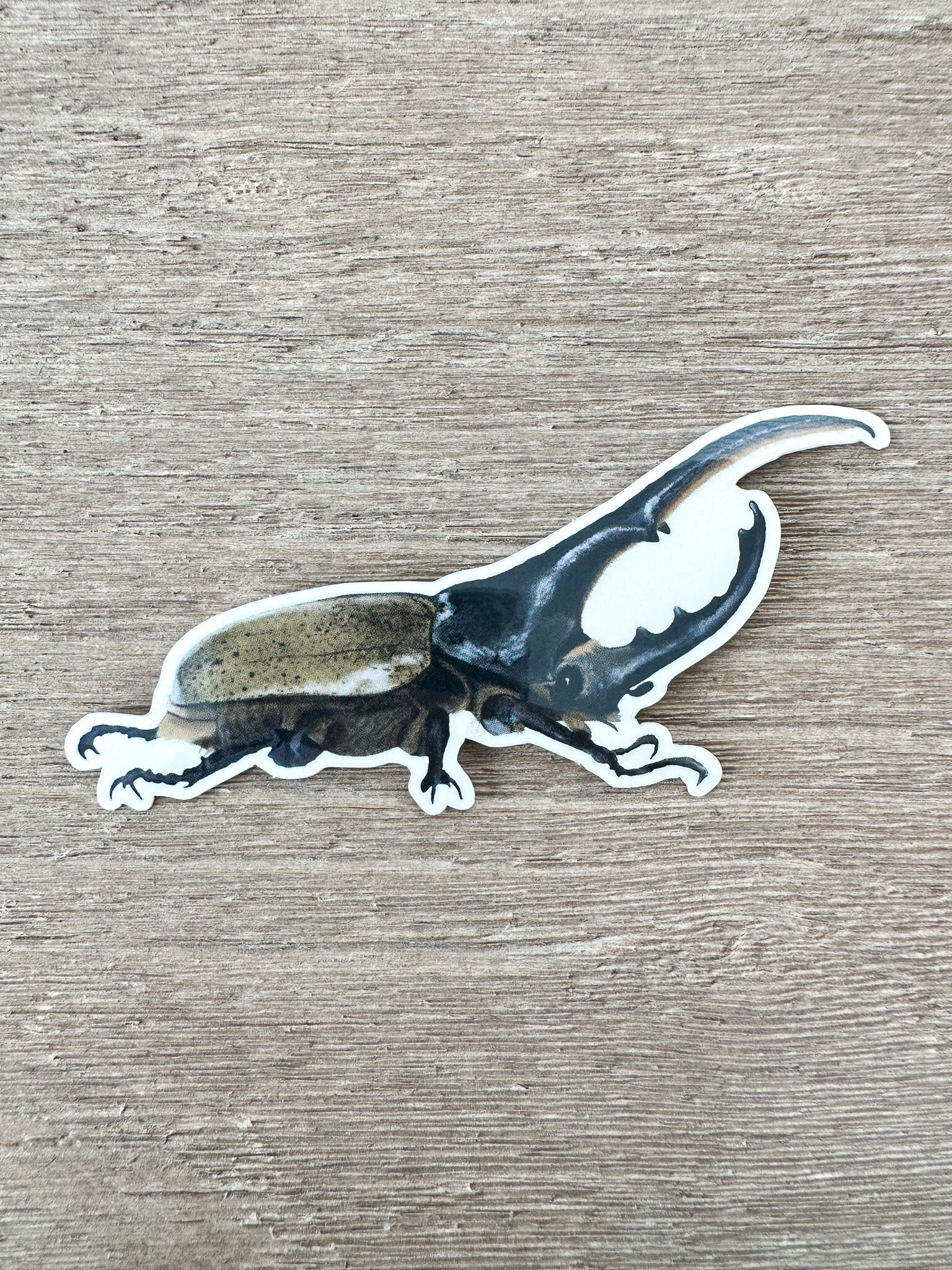 Beetle Sticker Hercules Beetle Sticker Waterproof Vinyl - Etsy