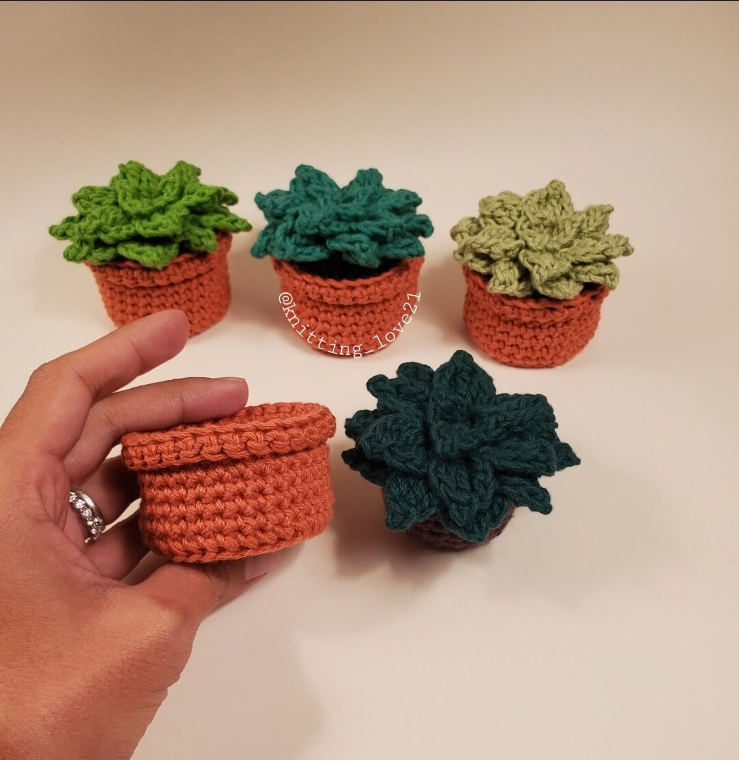 Succulent Plant and Pot PDF Pattern - Etsy