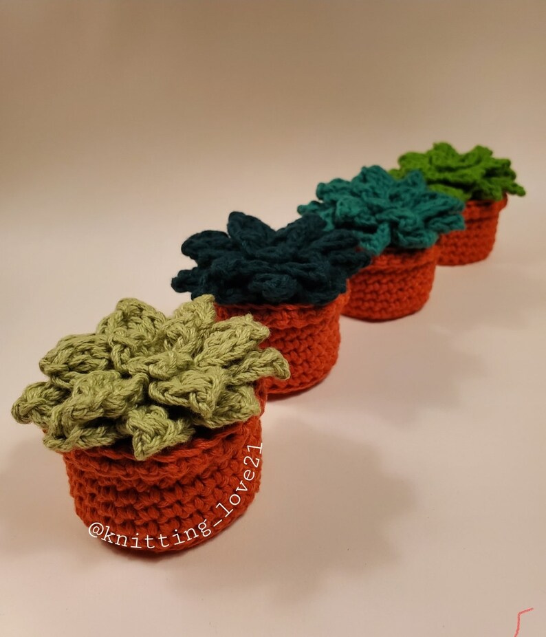 Succulent Plant and Pot PDF Pattern - Etsy