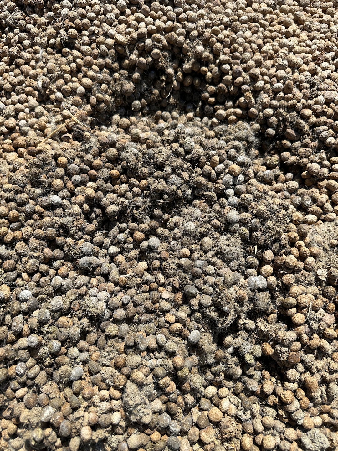 Dry Rabbit Manure, Organic Fertilizer (20 Pound Box) - Etsy