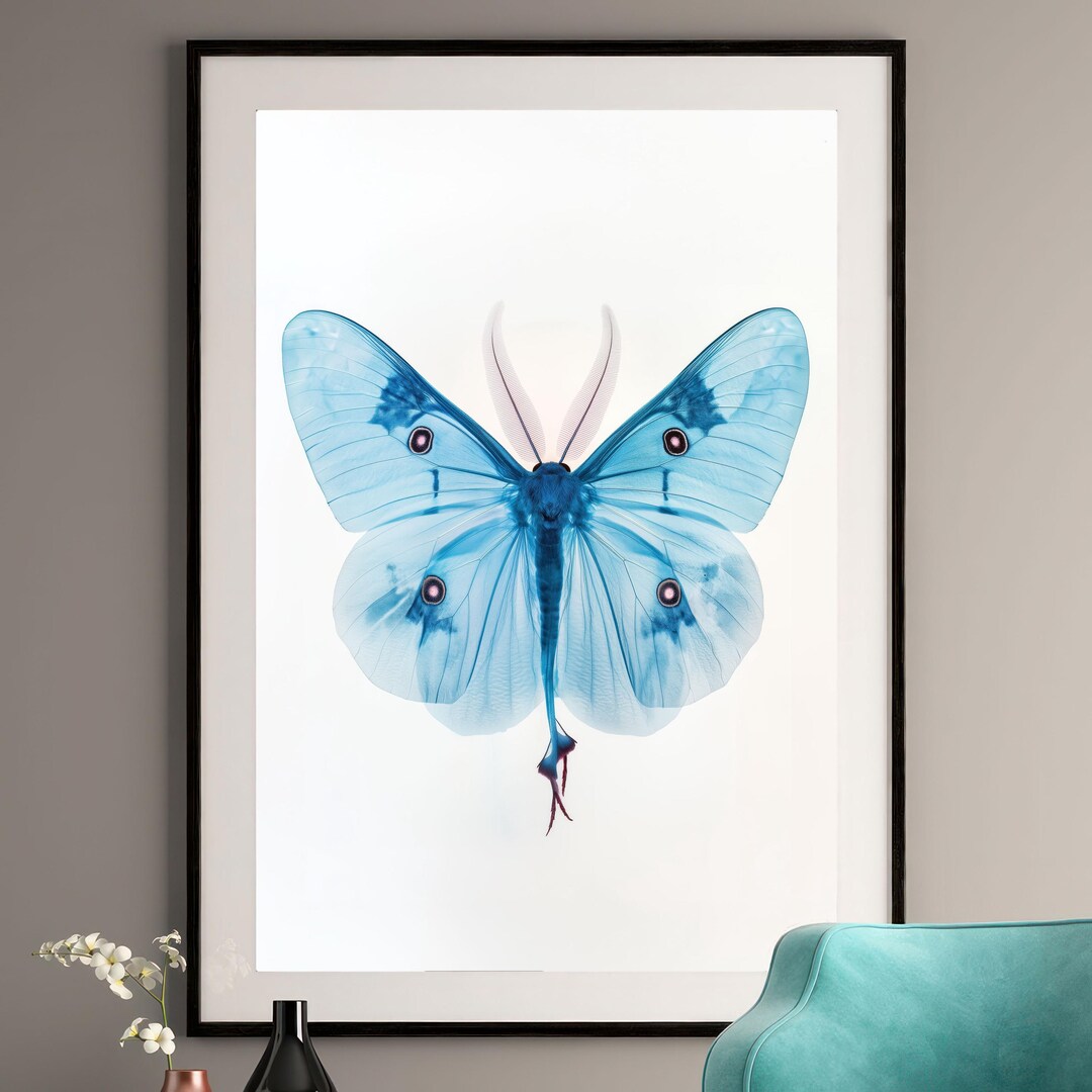 X-ray Luna Moth - Ethereal Beauty - Nature Art Print - Insect Wall Art ...